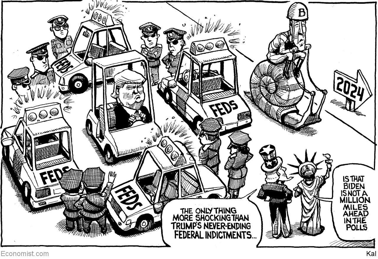 THEME MEMES: ECONOMIST CARTOONS - by Frances Leader