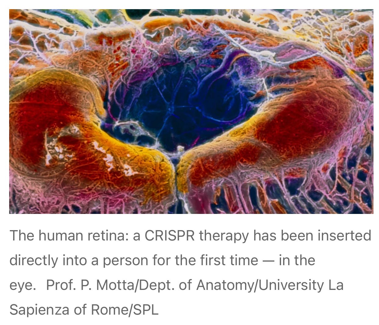 🎁 CRISPR FRIDAY: 8 Quick Reads to Bring You Up to Speed $CRSP $VRTX
