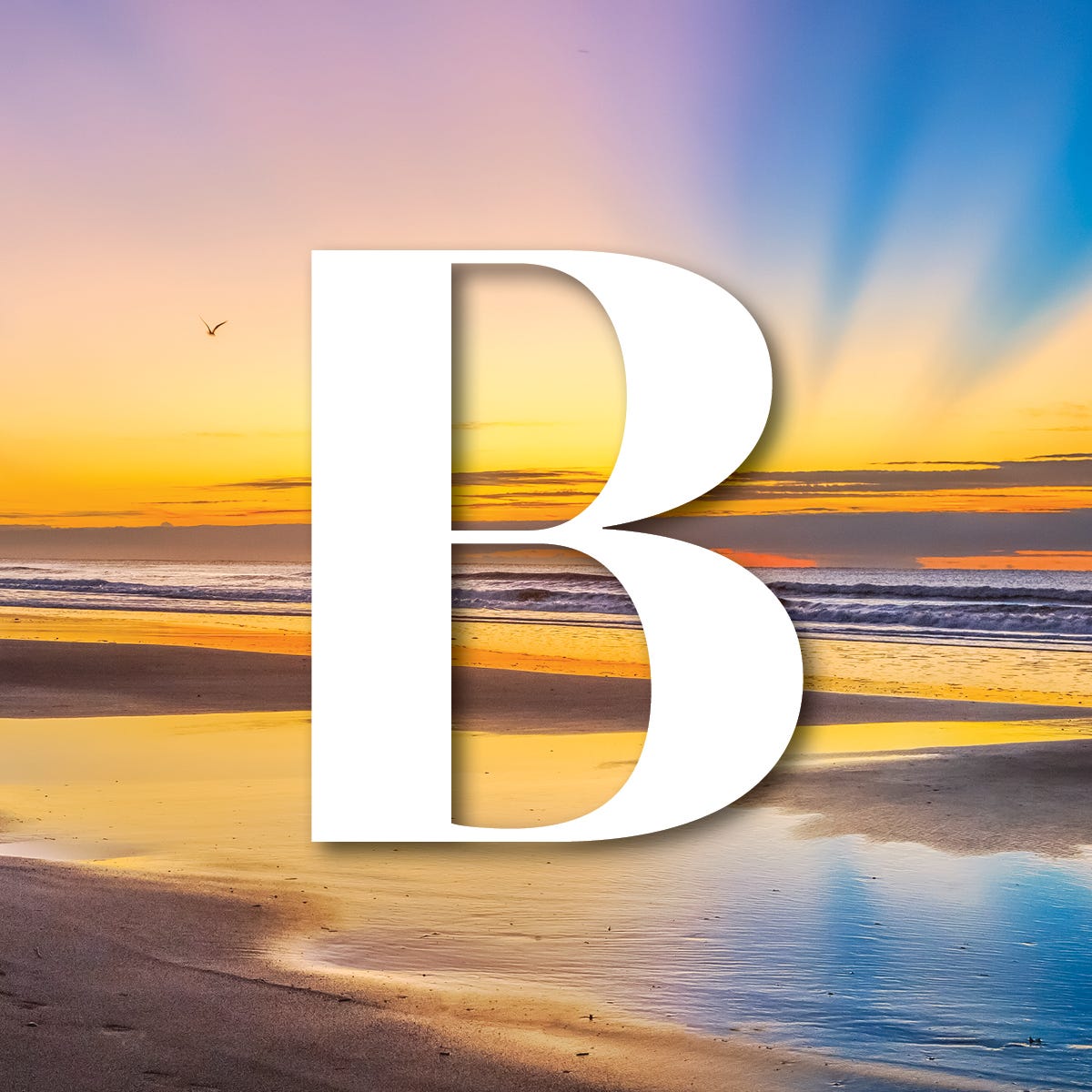 Backroad Portfolio | Substack