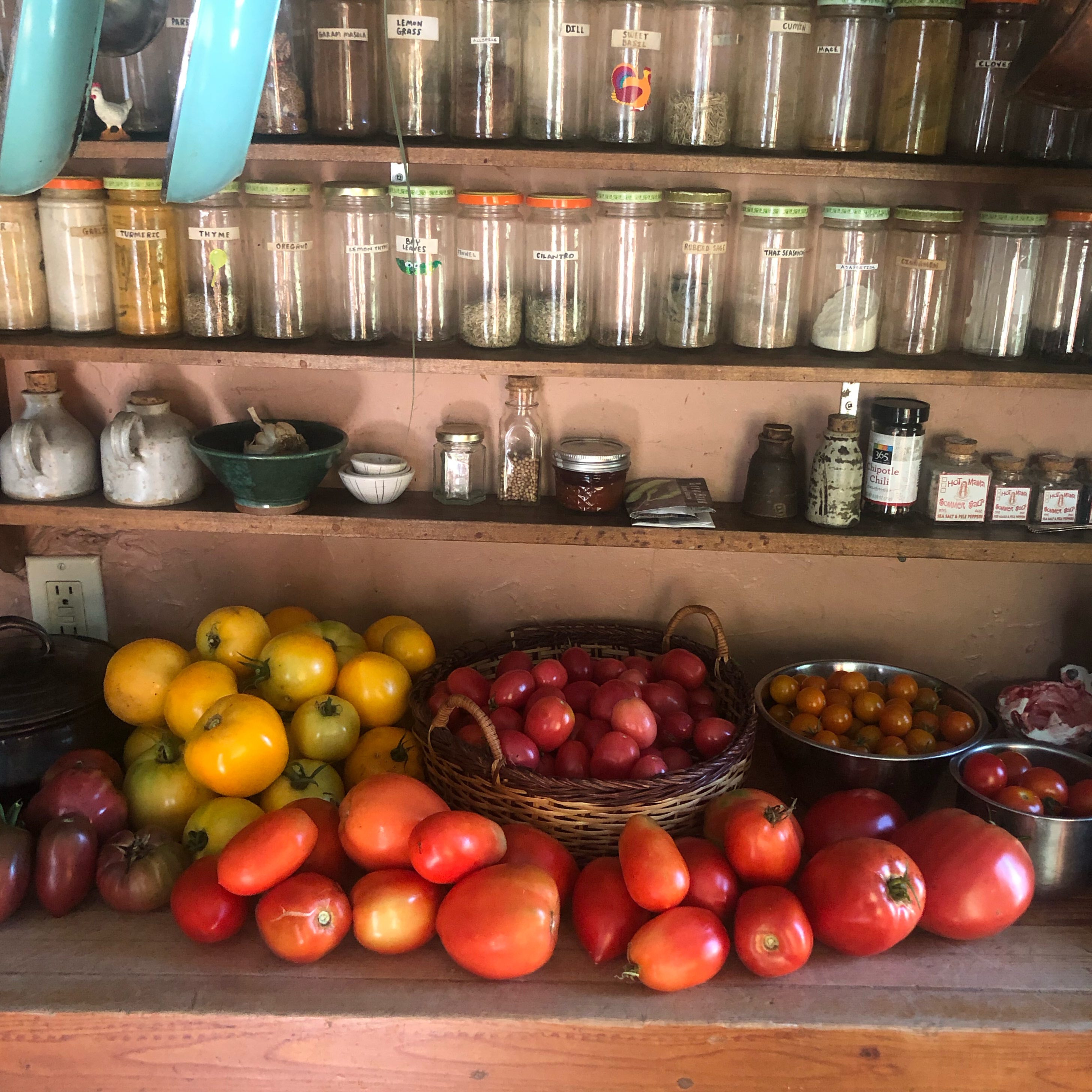 growing magic - by laura hoenack - Lulubeans