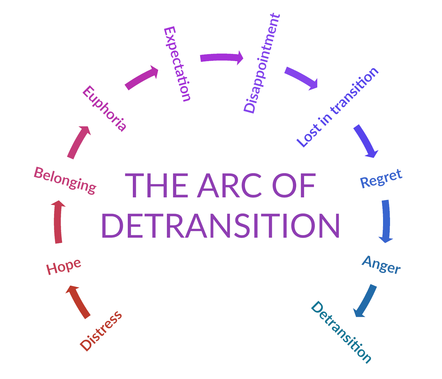 The Arc of Detransition - Inspecting Gender