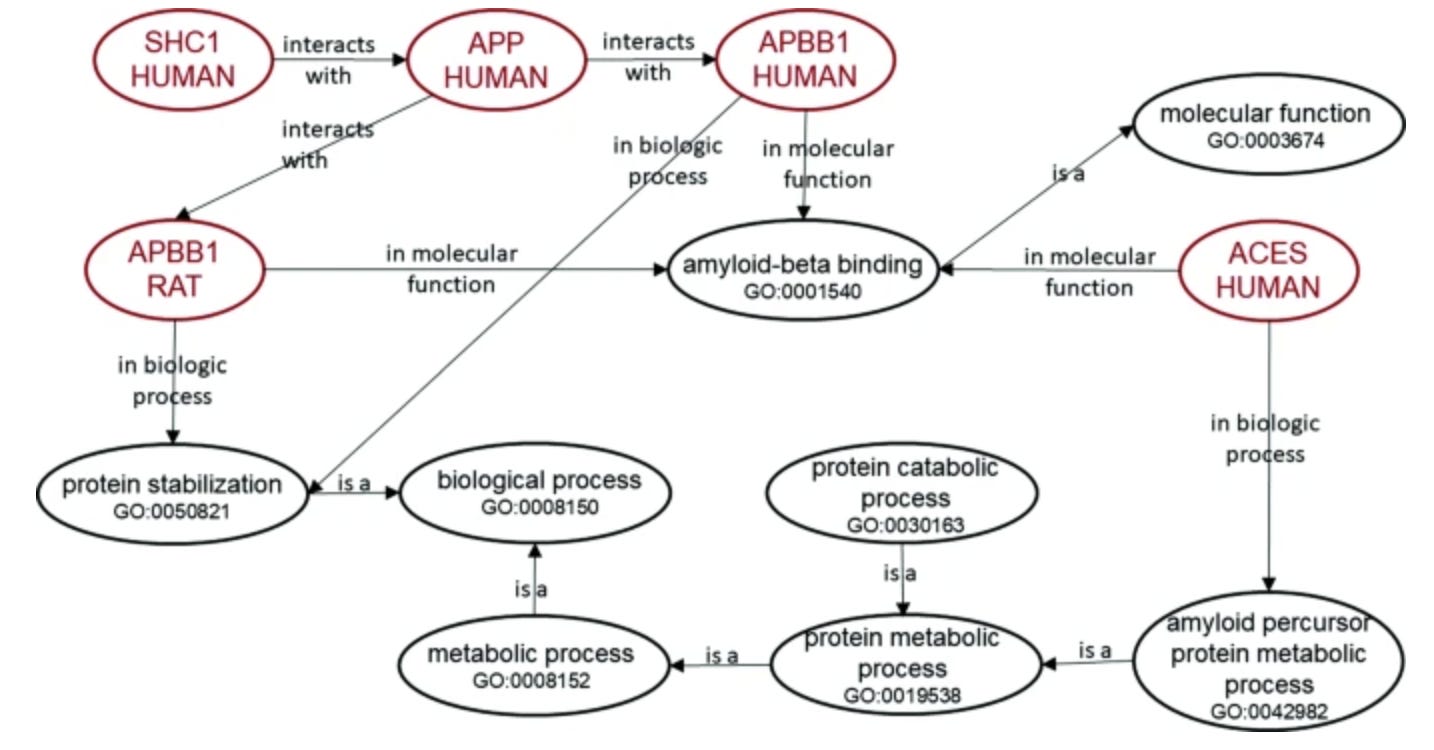 BioCypher & BioChatter: Knowled Graph Builder and LLM