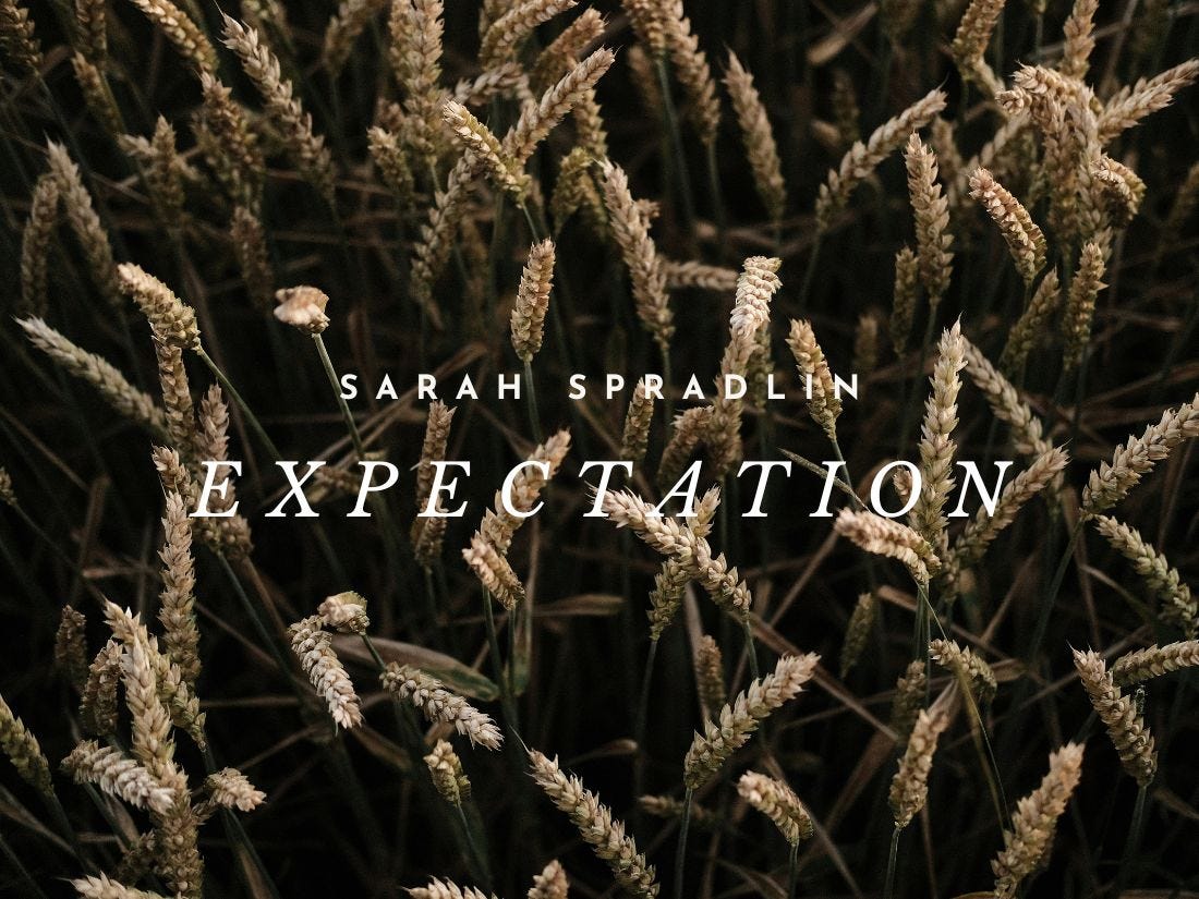 Expectation—Sarah Spradlin - by The Rabbit Room