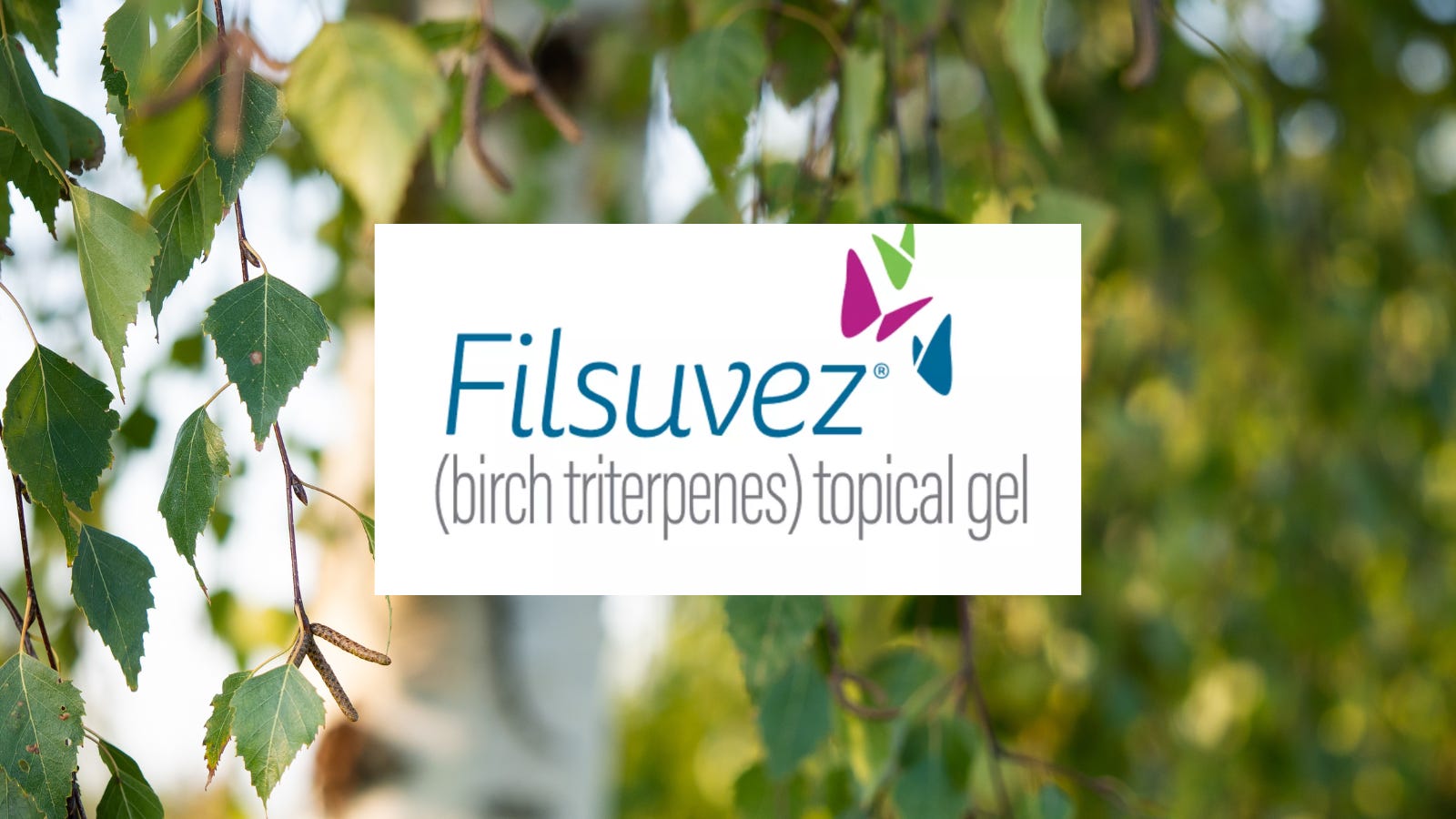 Birch extract approved by FDA for rare disease