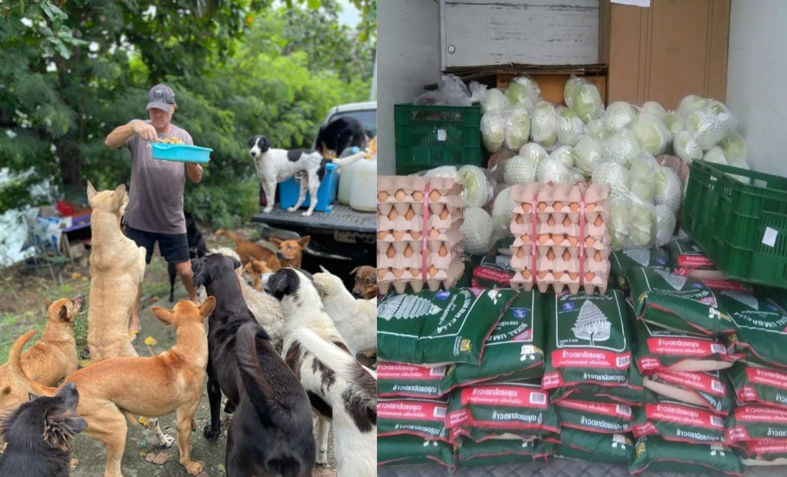 How Over 1000 Dogs Per Month Are Now Having Their Lives Changed For The ...