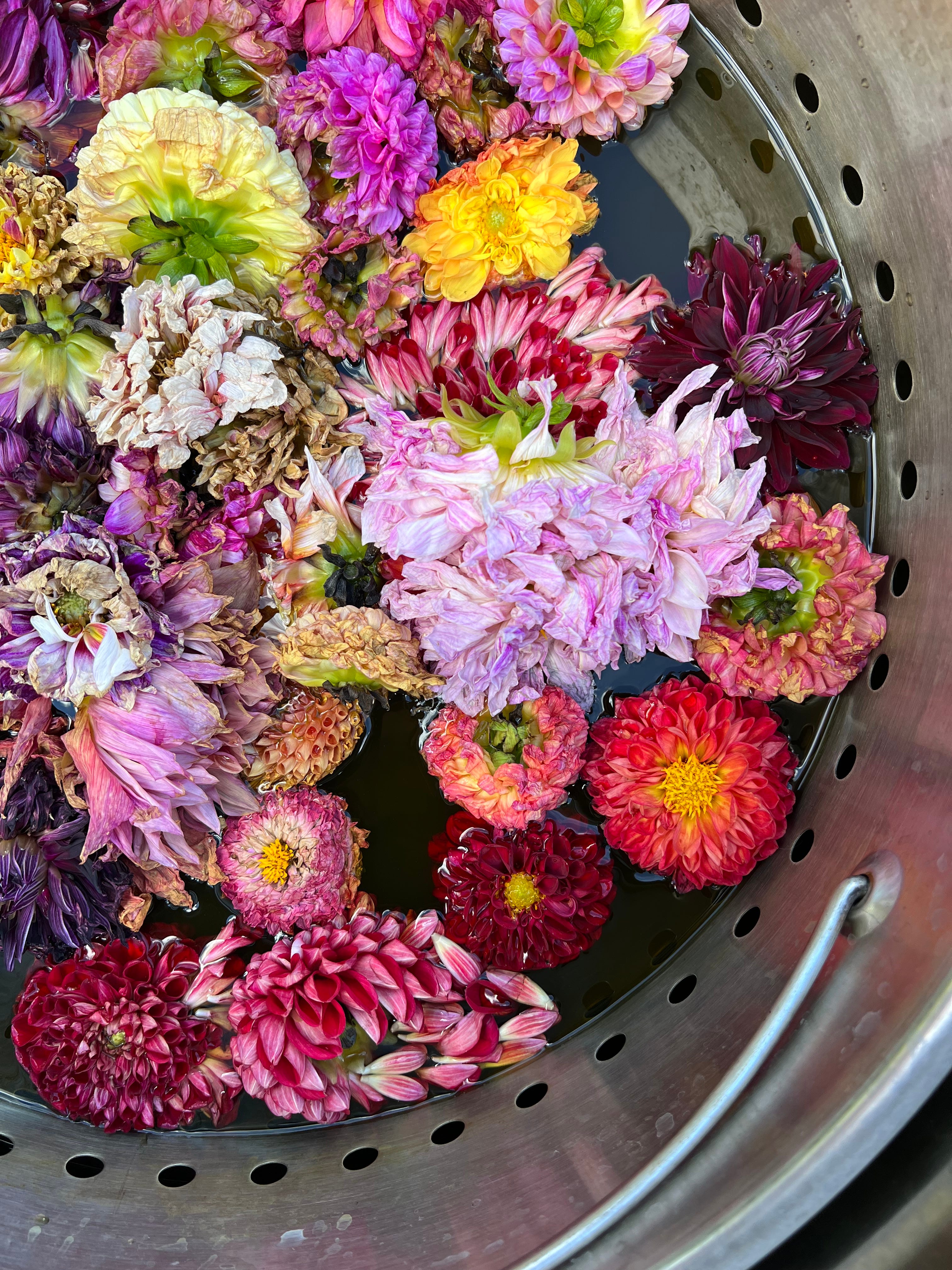 On Flower Potions - by Caitlin Robinson