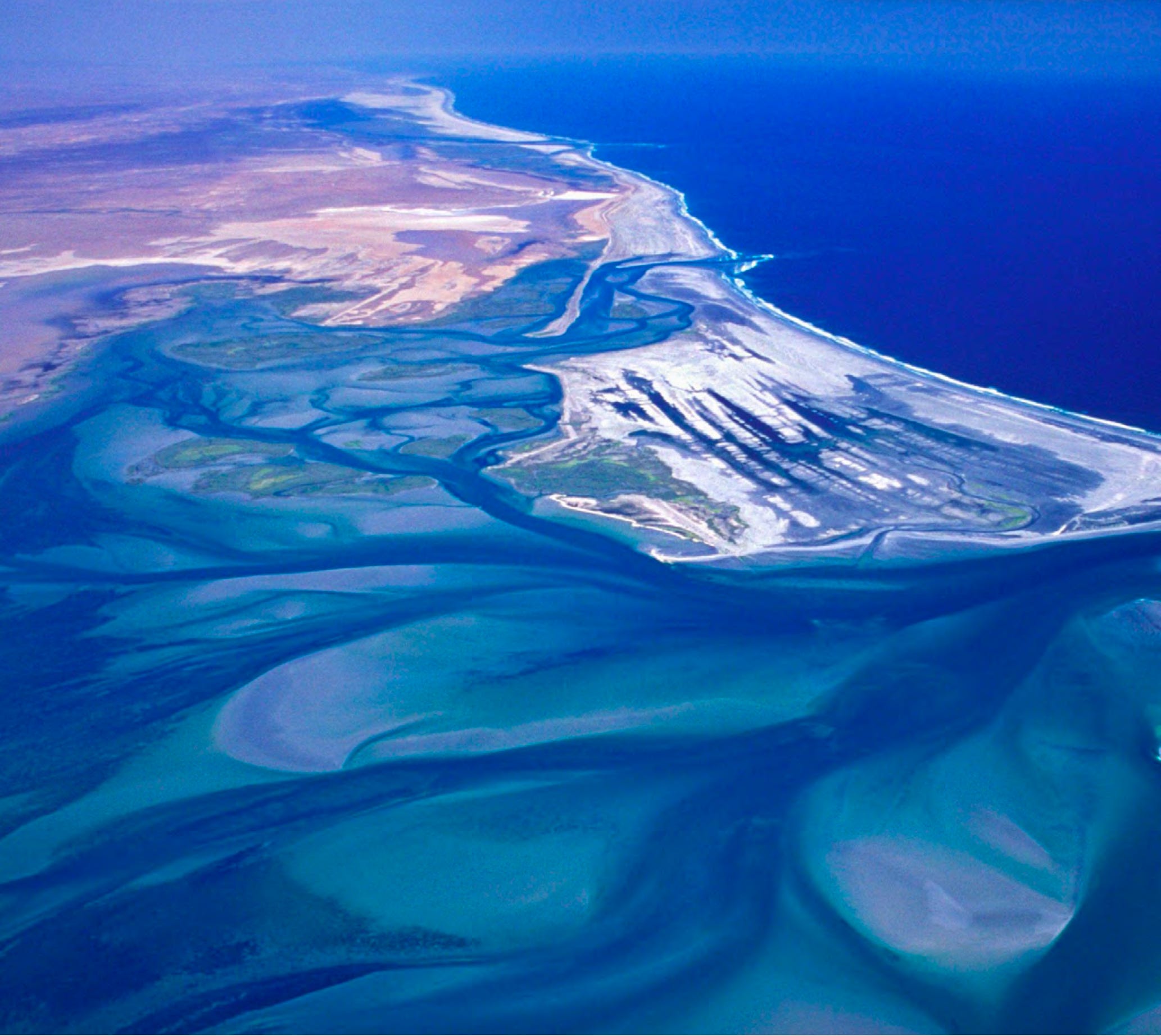 The False Promise of Blue Carbon - by Neal Spackman