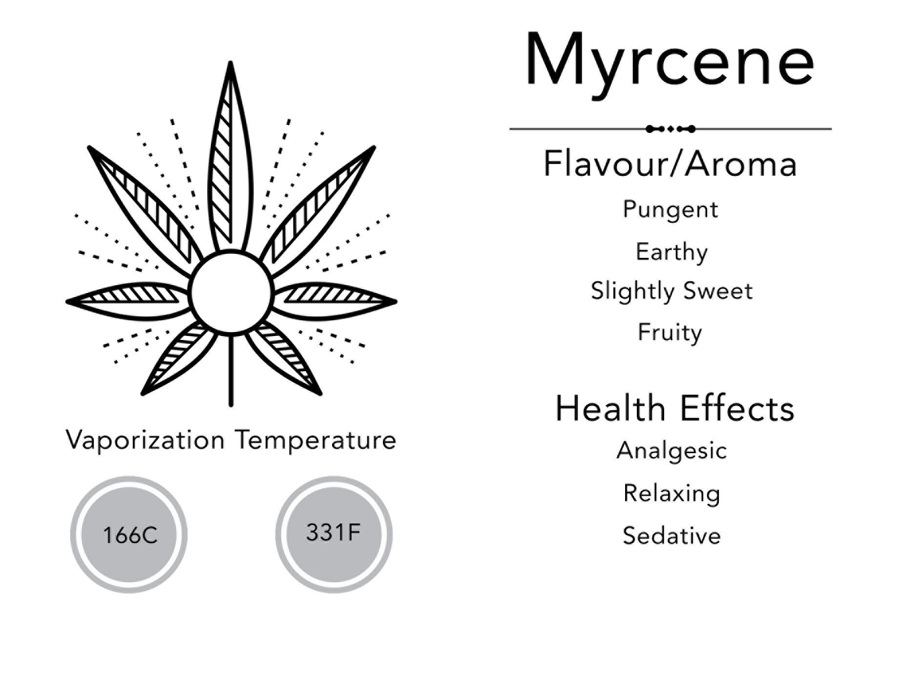Terpene of the Month: Myrcene | AusCannaReviews