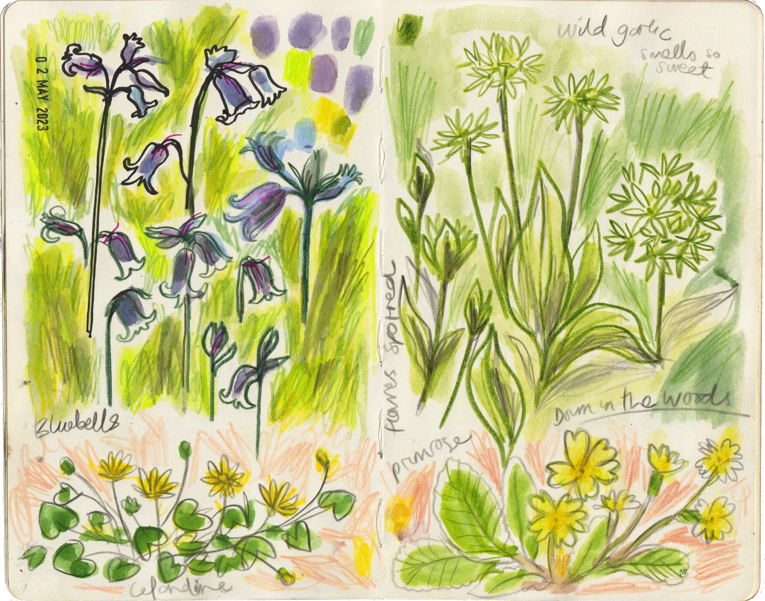 Celebrating almost a year on Substack - by Melanie Chadwick