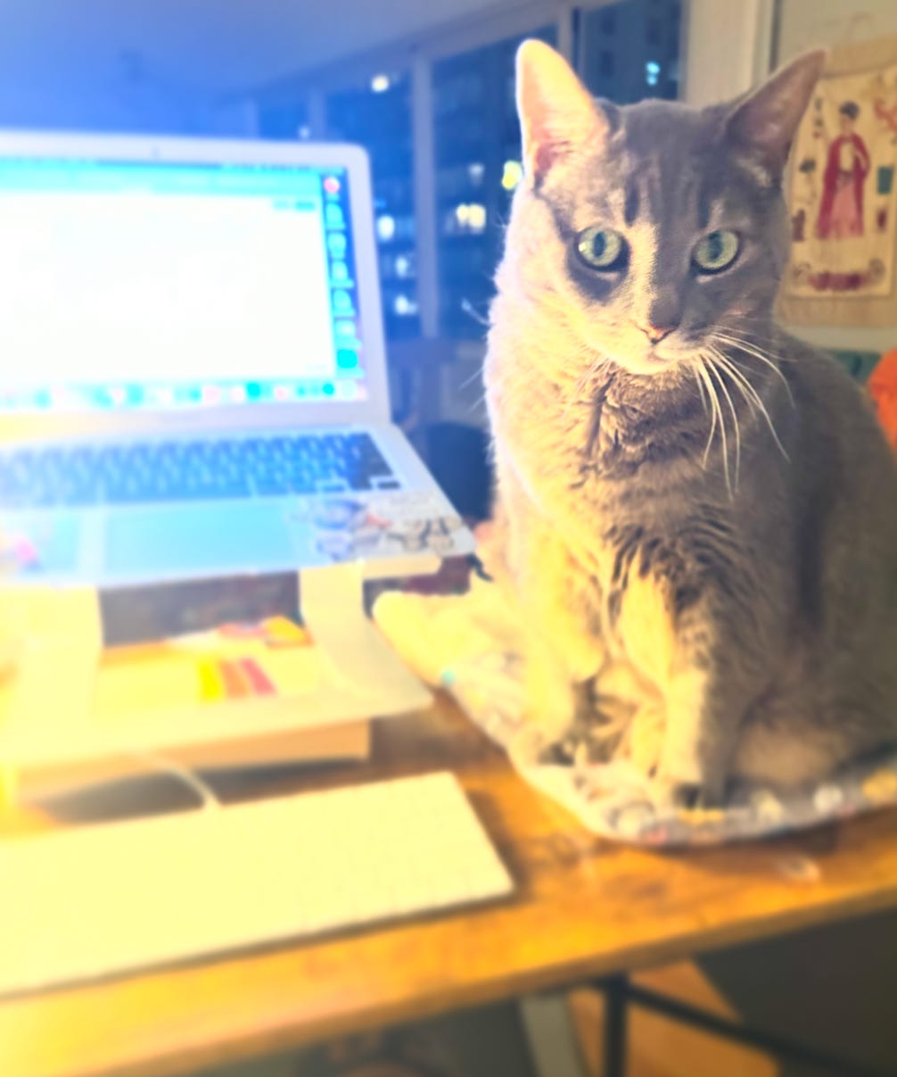 The Eternal Mystery of How to Write Alongside a Cat
