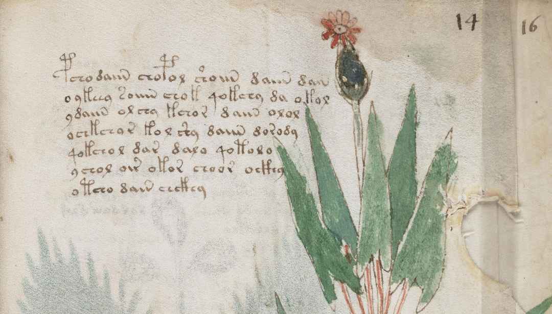 Structural analysis of Voynich Manuscript reveals features of natural language