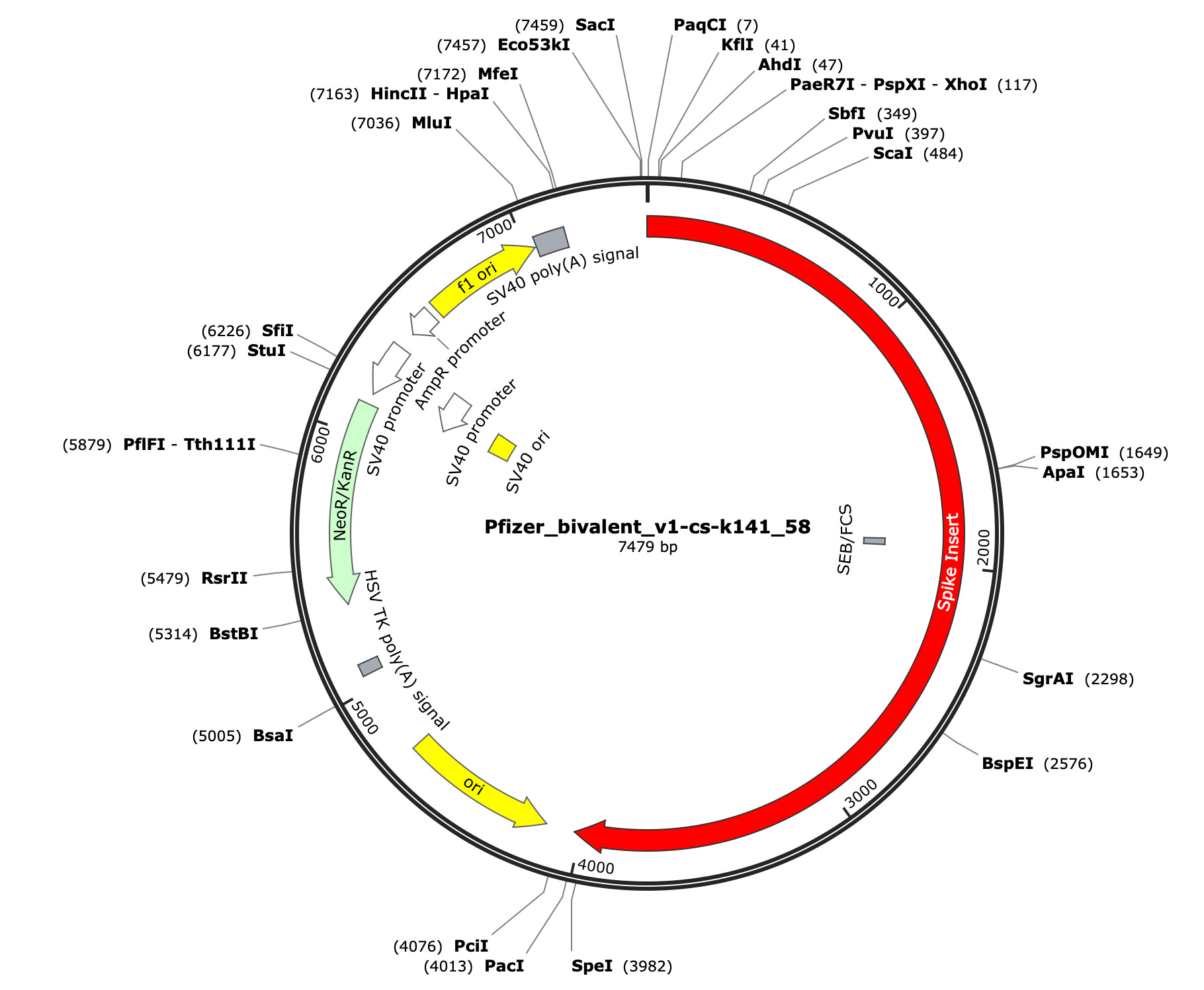 Deep sequencing of the Moderna and Pfizer bivalent vaccines identifies ...