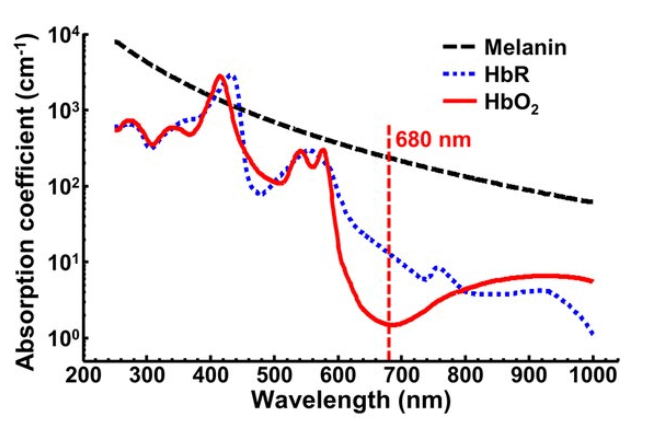 MELANIN is WAY MORE THAN A SKIN PROTECTANT