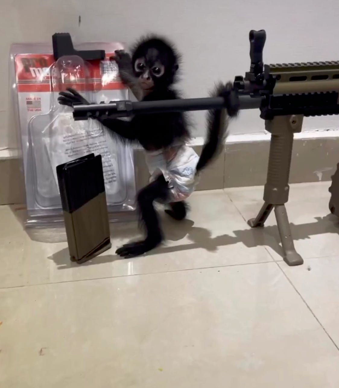 Narco "El Plaga" Gives Me An Interview. Mexico Says He's In Prison But ...