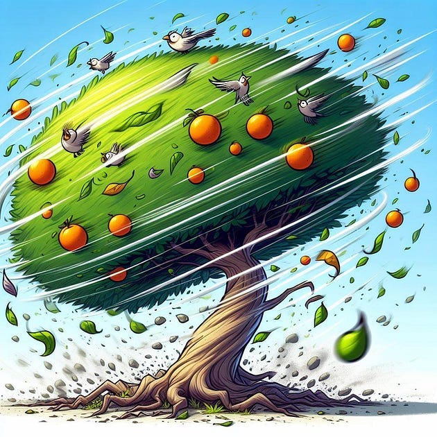 Optimizing Dynamic Languages at Compile Time