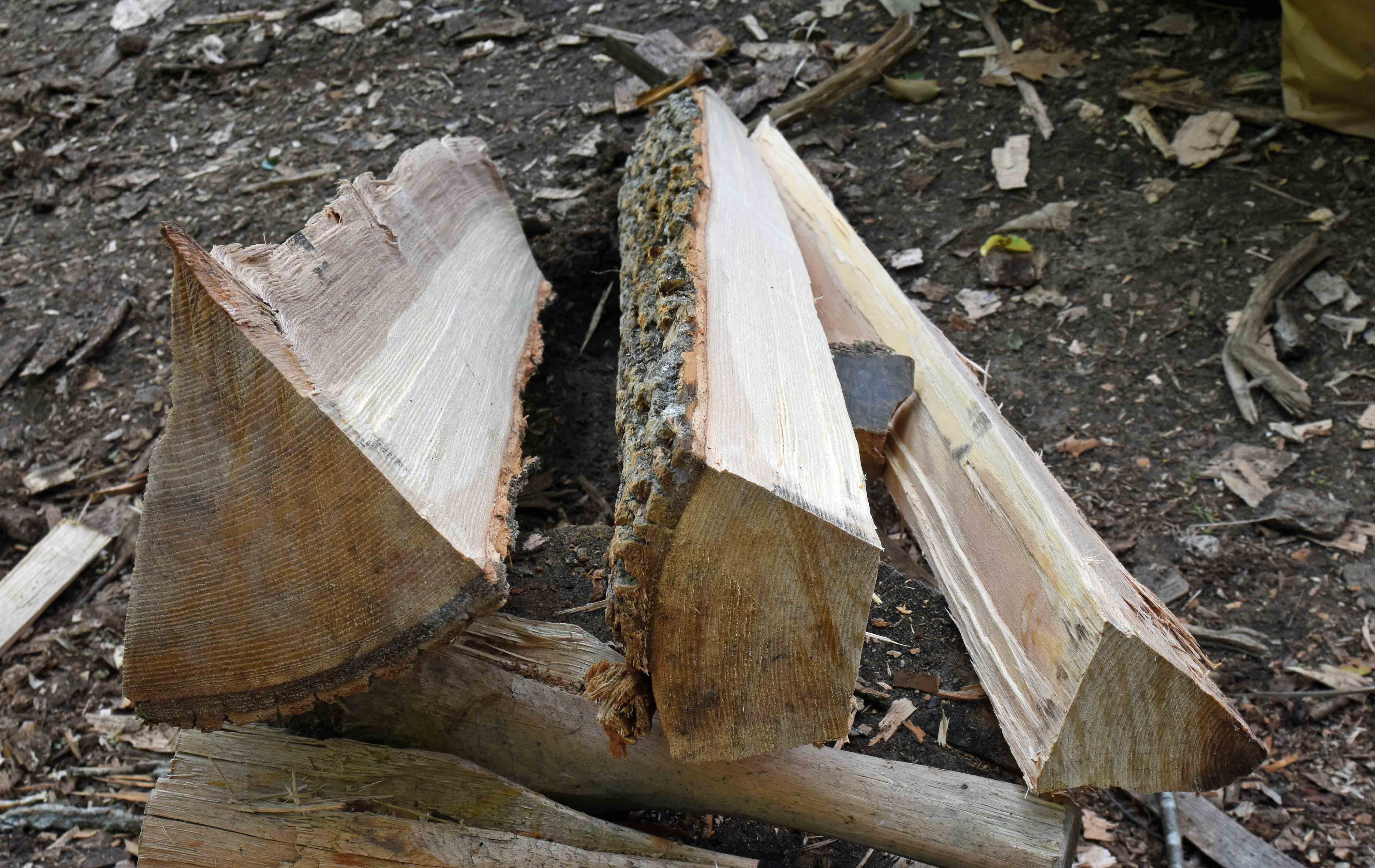 Summertime - by Peter Follansbee - Follansbee's Substack