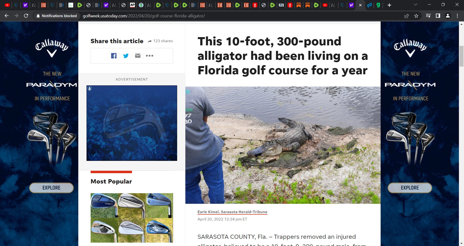 Florida has a serious alligator and snake python problem, these 2 (and ...
