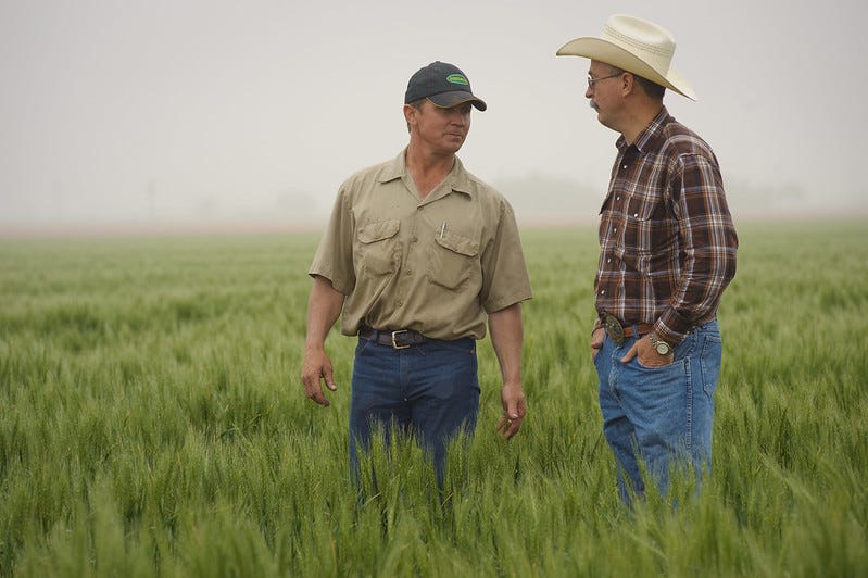 Farm, Food and Rural Living | Farmer Georgie | Substack