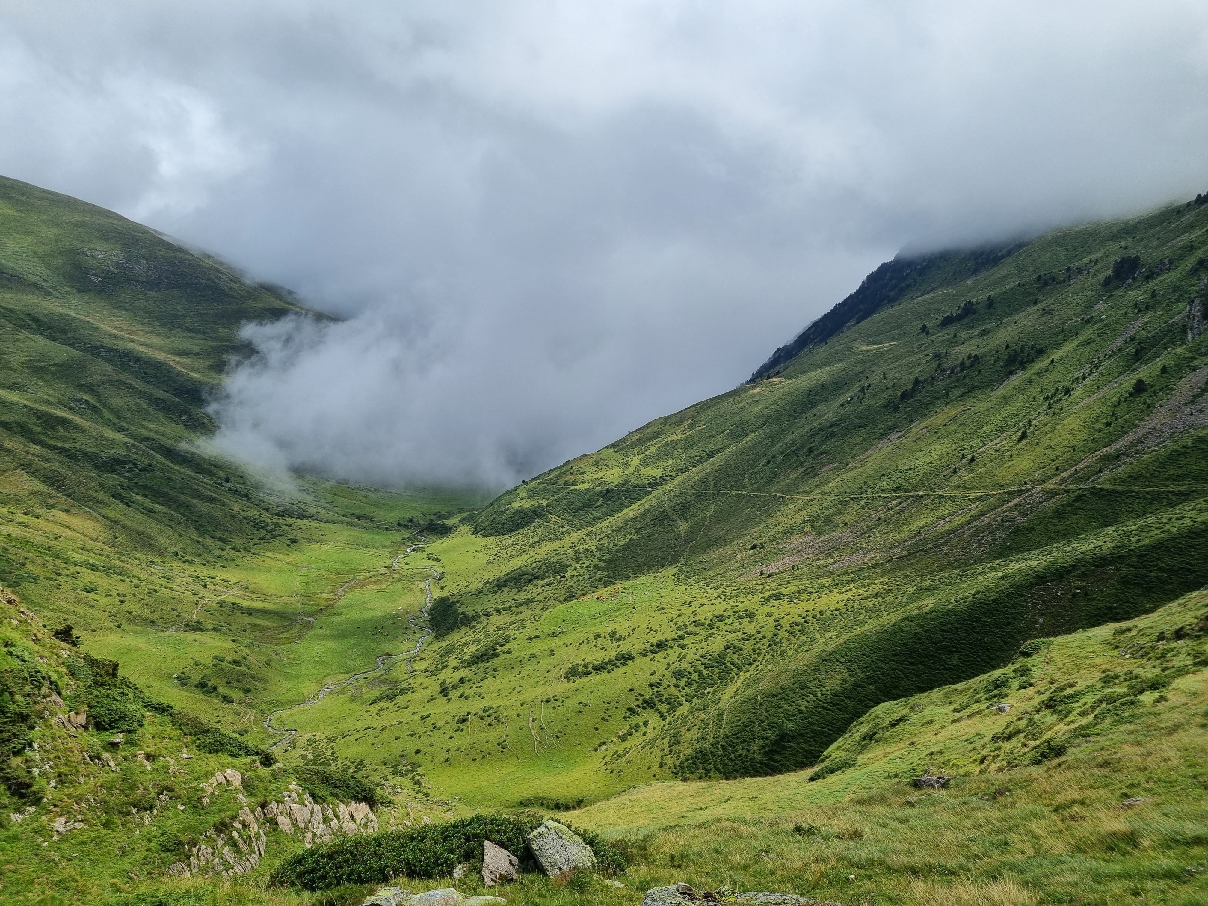 Body of Work - by Ben Dhiman - The Speedhiman Substack