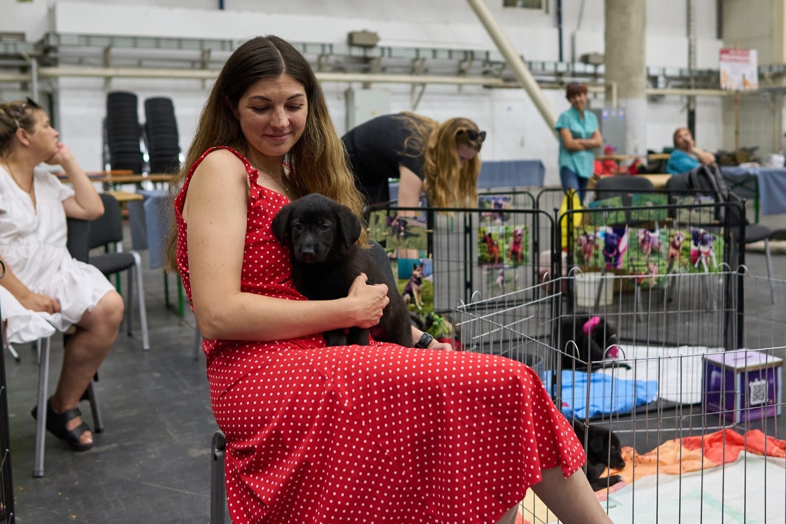 Learning Doggy CPR In A War Zone - by Oleh Tymoshenko