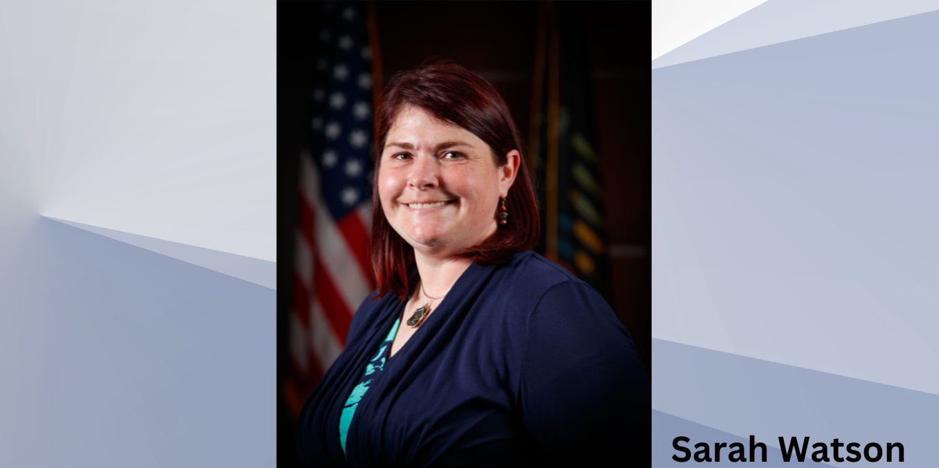 City council member Sarah Watson's drunken driving arrest and what it ...