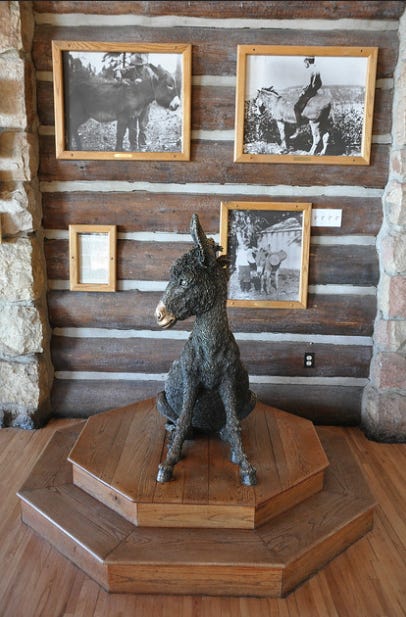 The Legend of Brighty of the Grand Canyon - by Jan Spell