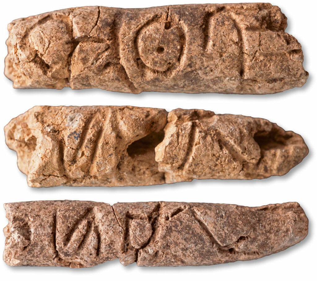 🔎 The Curiosity Files #11 - by CF - The Curiosity Files