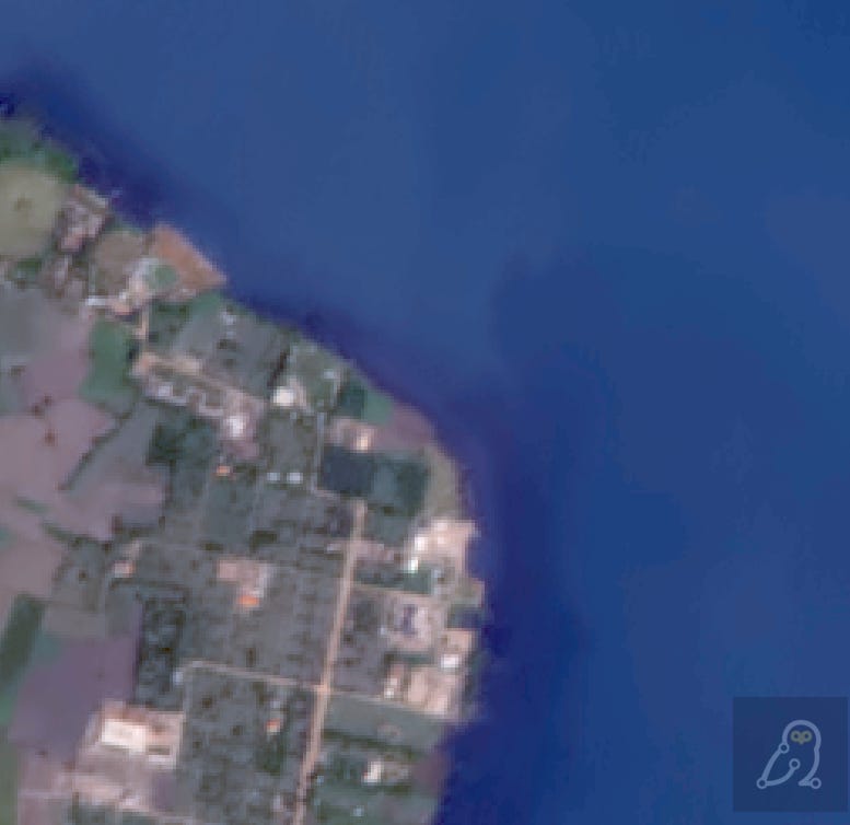 Exploration of the brand new LISS4 data release and opportunities