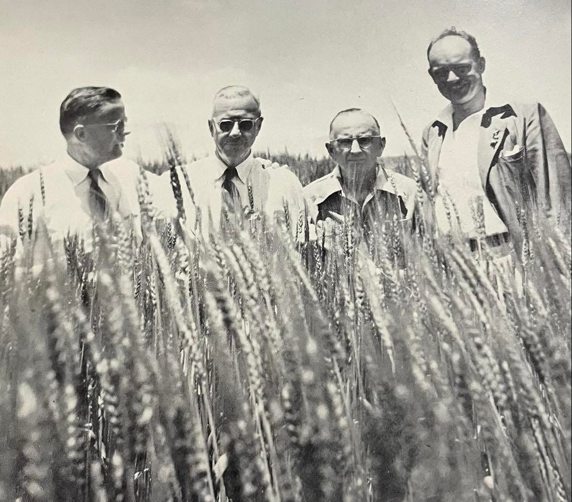 A Report on Scientific Branch-Creation: How the Rockefeller Foundation ...