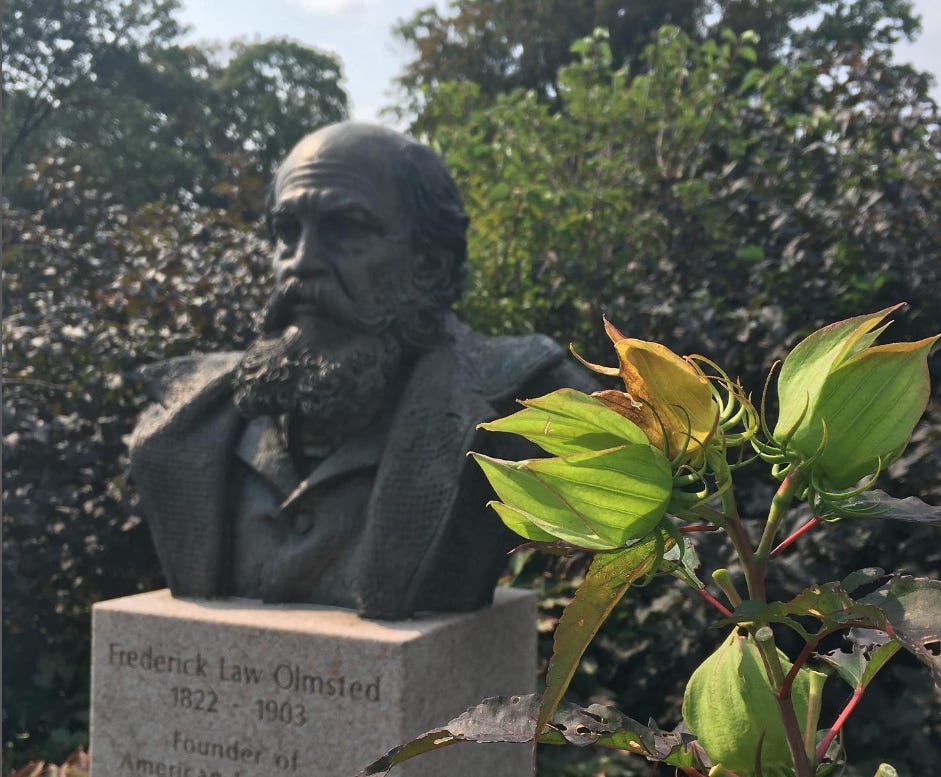 The Tour de Olmsted - by Miles Howard - Mind the Moss