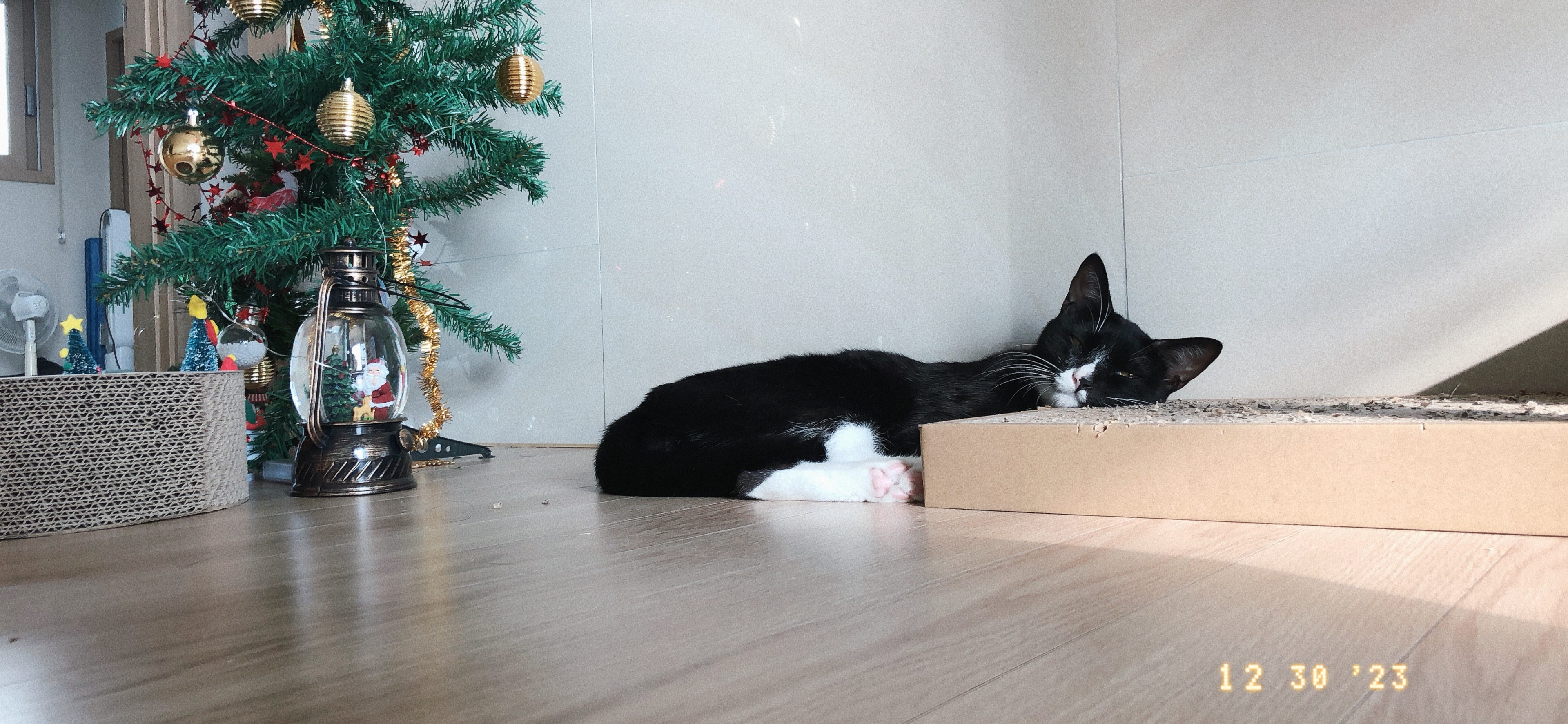 2023.12 Jeju - Jun’s Substack