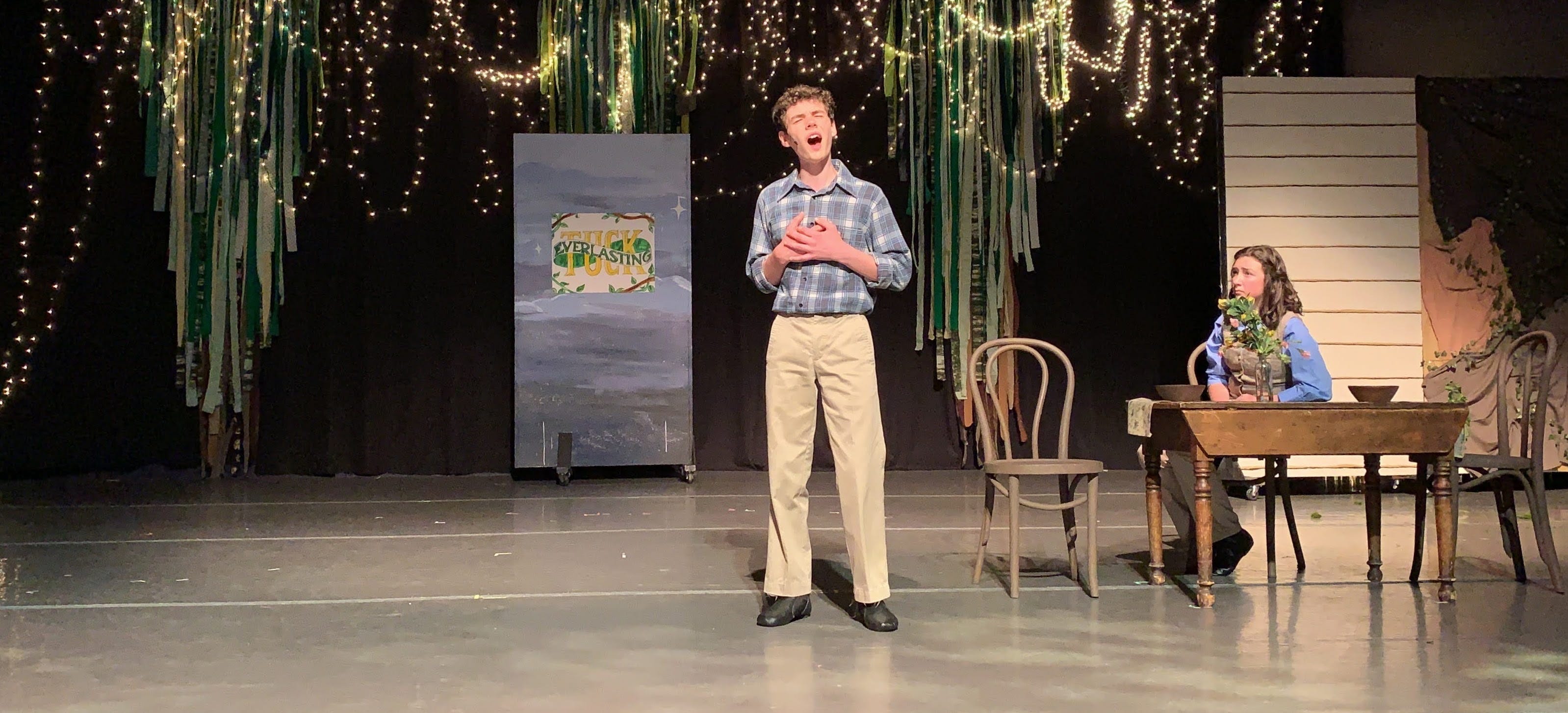 Life’s Drama - by Paul Bauer and Aidan Bauer