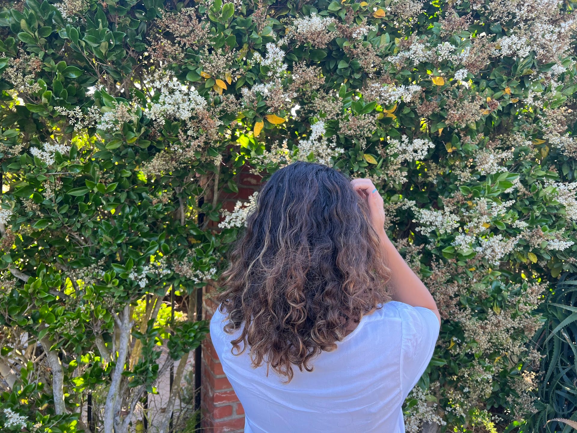 Izzy Sami | Substack