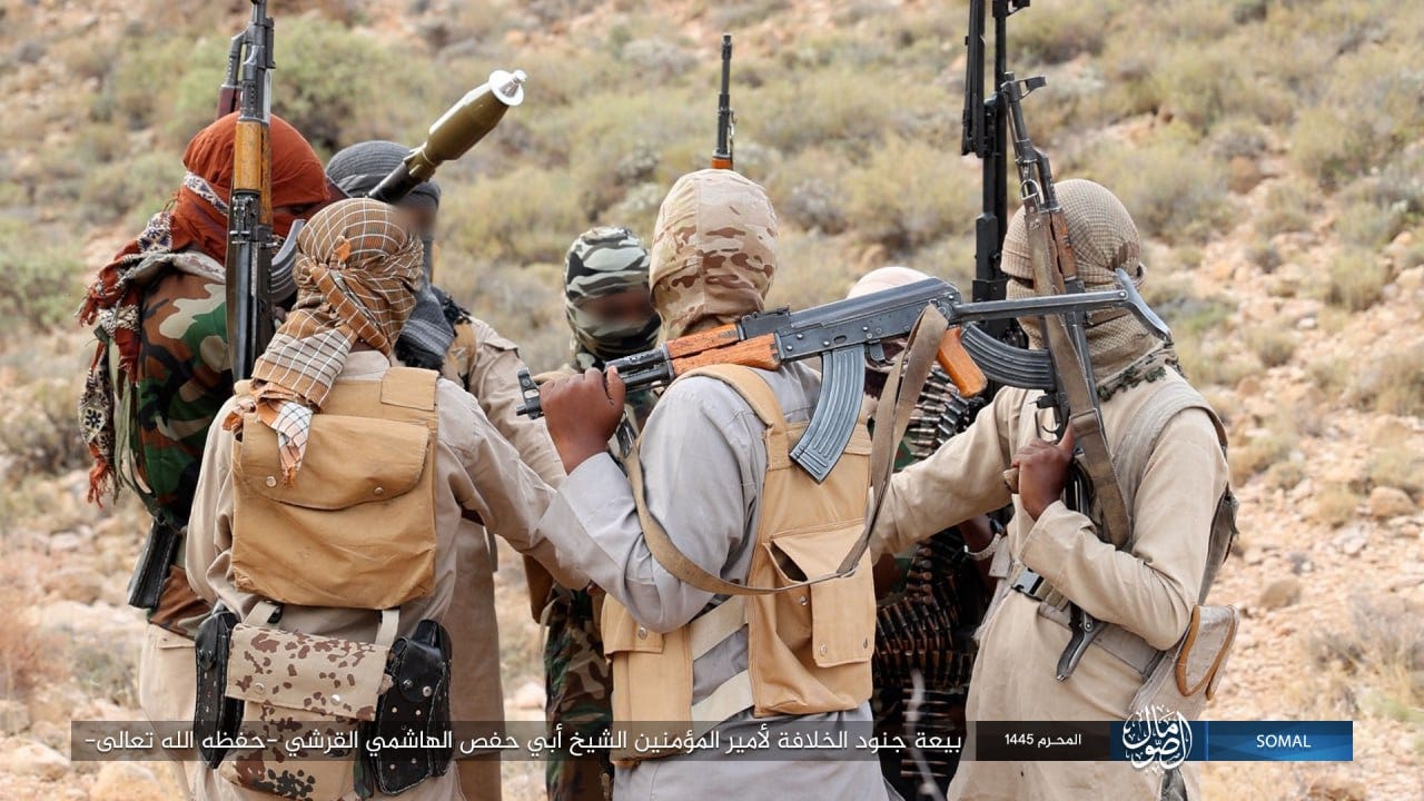 Assessment and Weapons Analysis: African Islamic State Groups Pledge ...