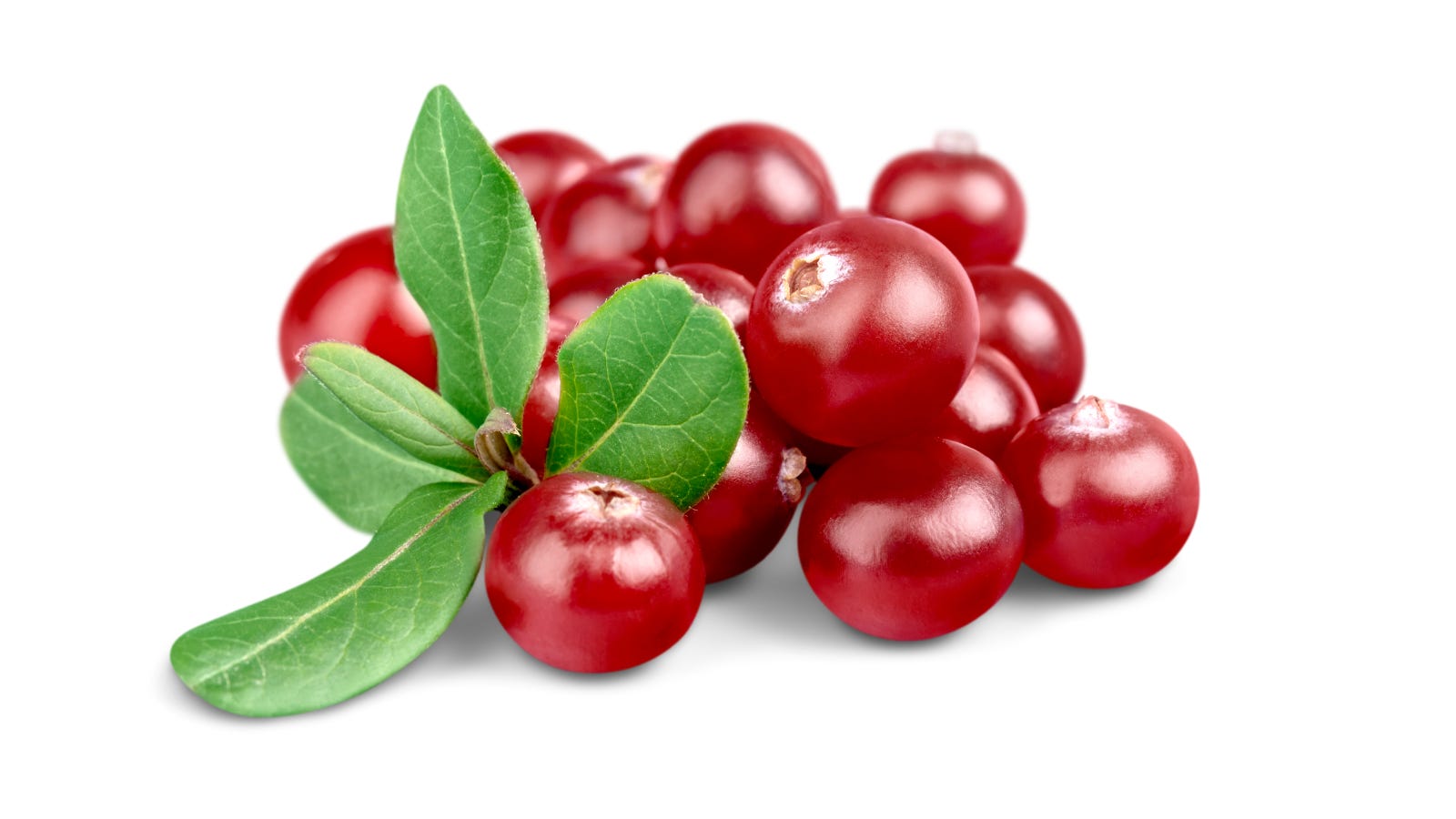 Cranberries! More than just a Thanksgiving side dish