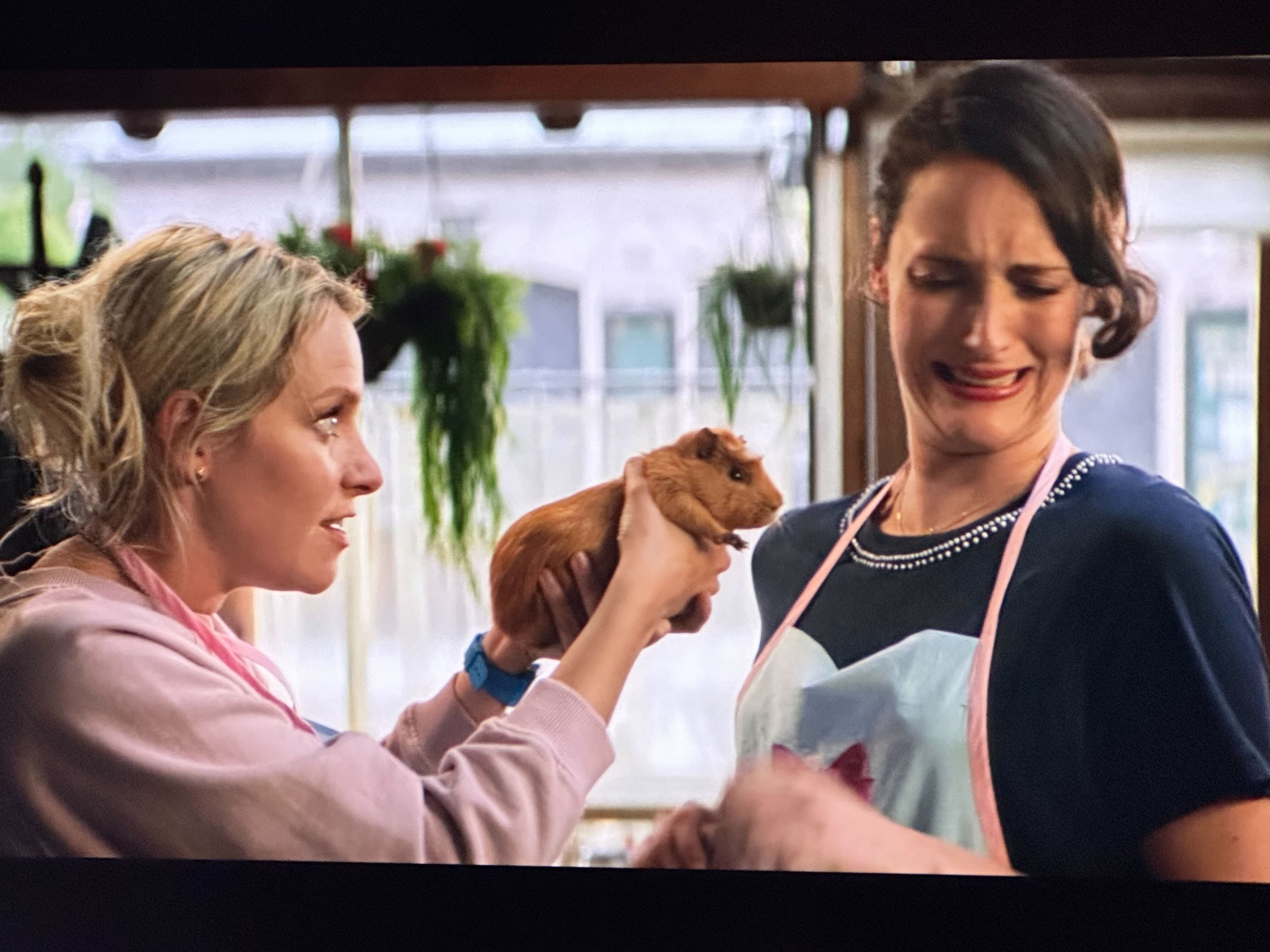 [from the archive] fleabag is a ghost story