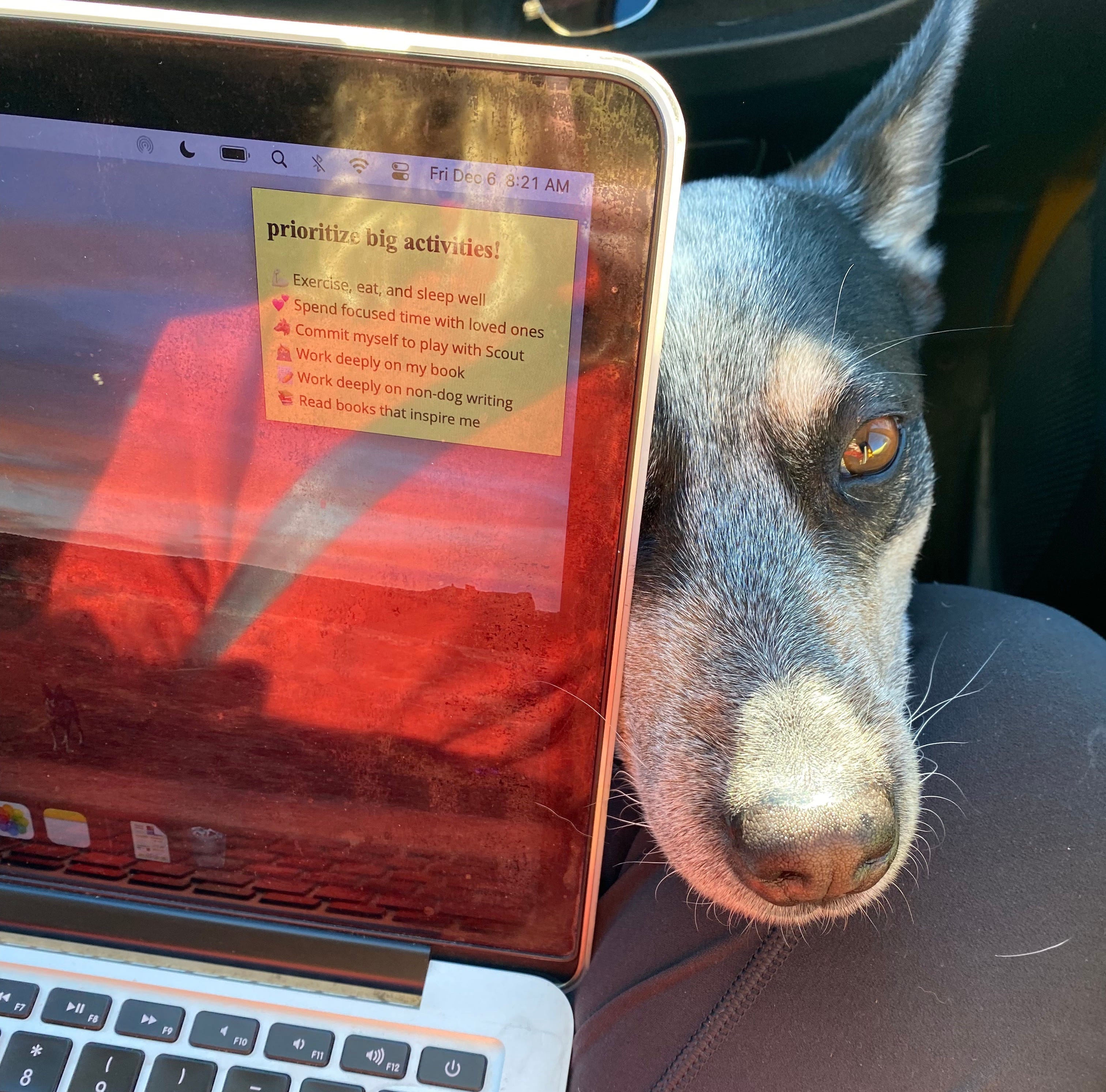 Nostalgia down social media memory lane - by Haley Young