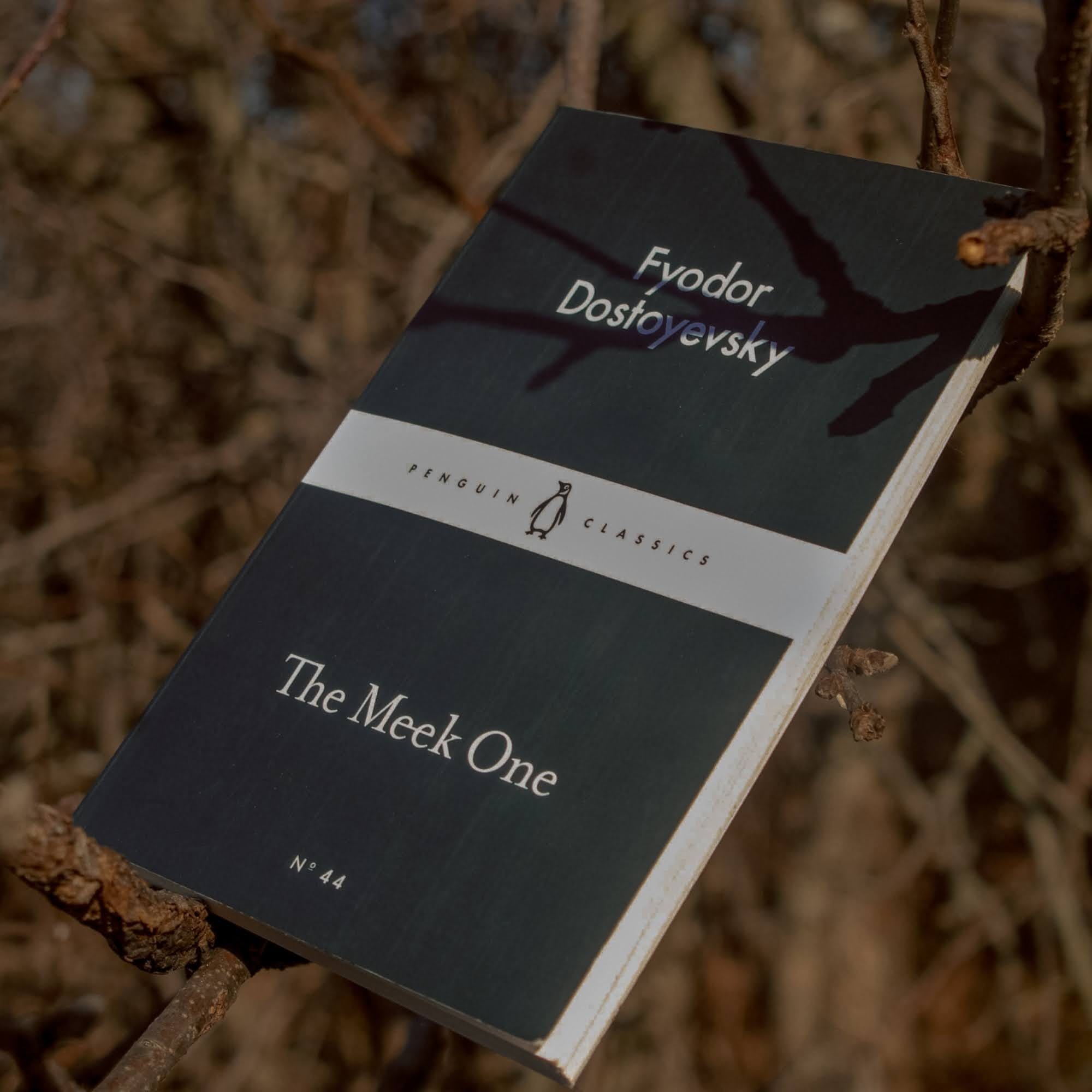 The Meek One by Fyodor Dostoevsky - by Sky - hoppyville