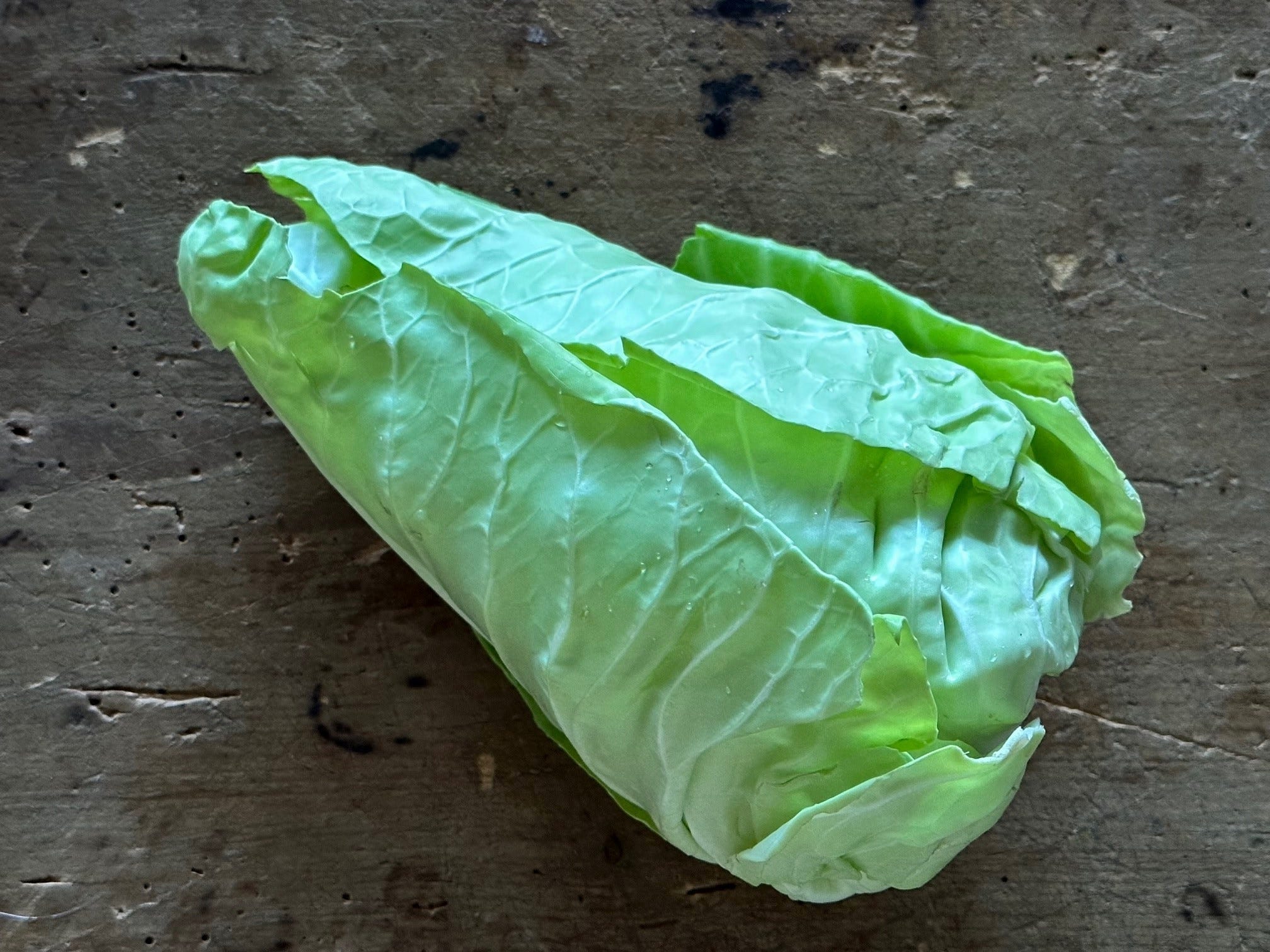 MAKE CABBAGE COOL AGAIN. - Jill Dupleix Eats