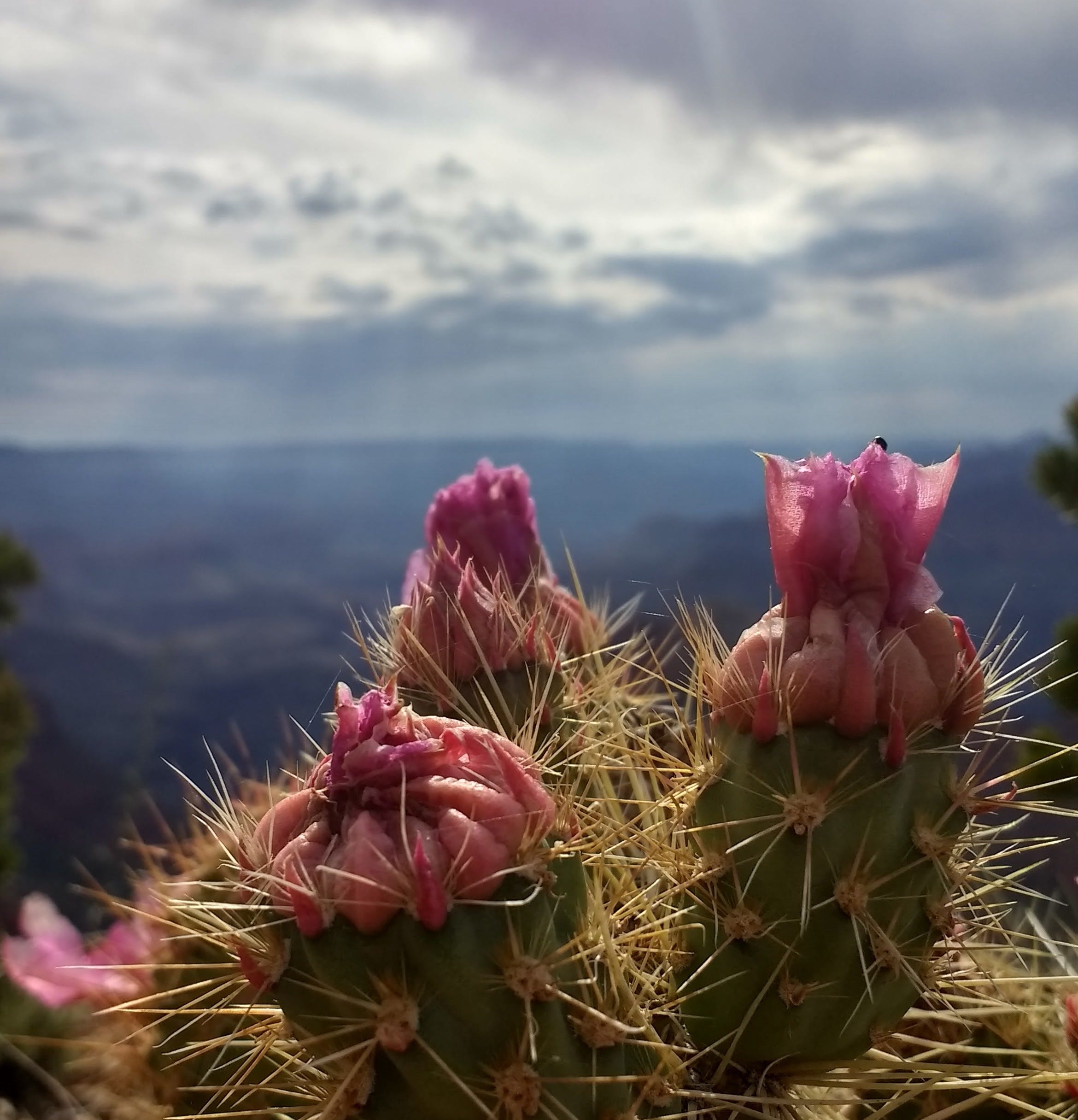 C. Wayne Bratcher | Substack