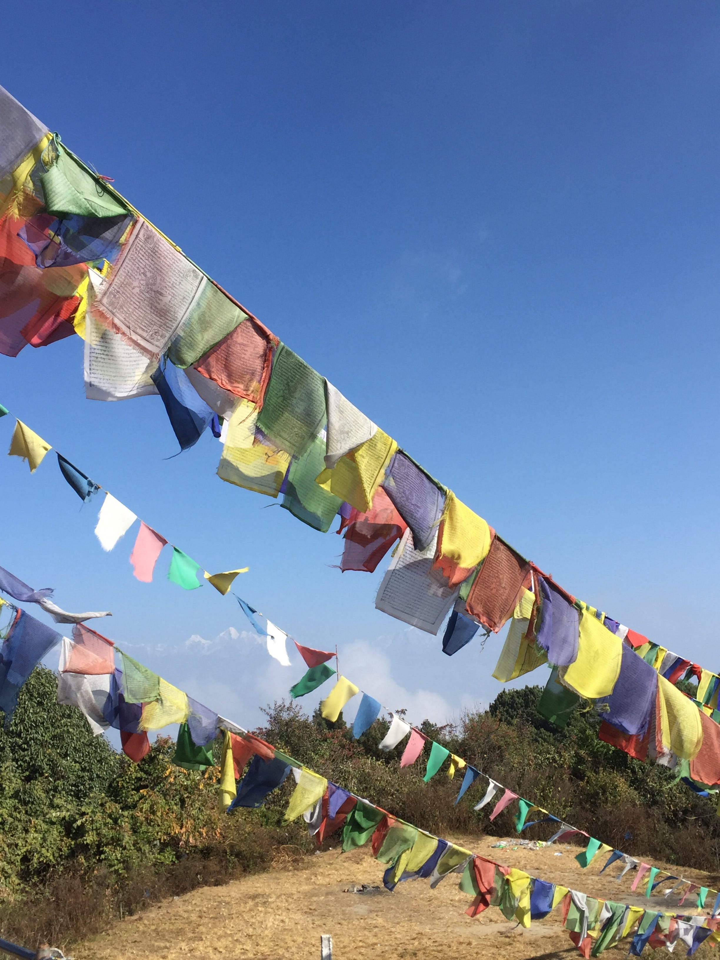 Cocaine Nights, Savasana Mornings - Armenak's Simple Words