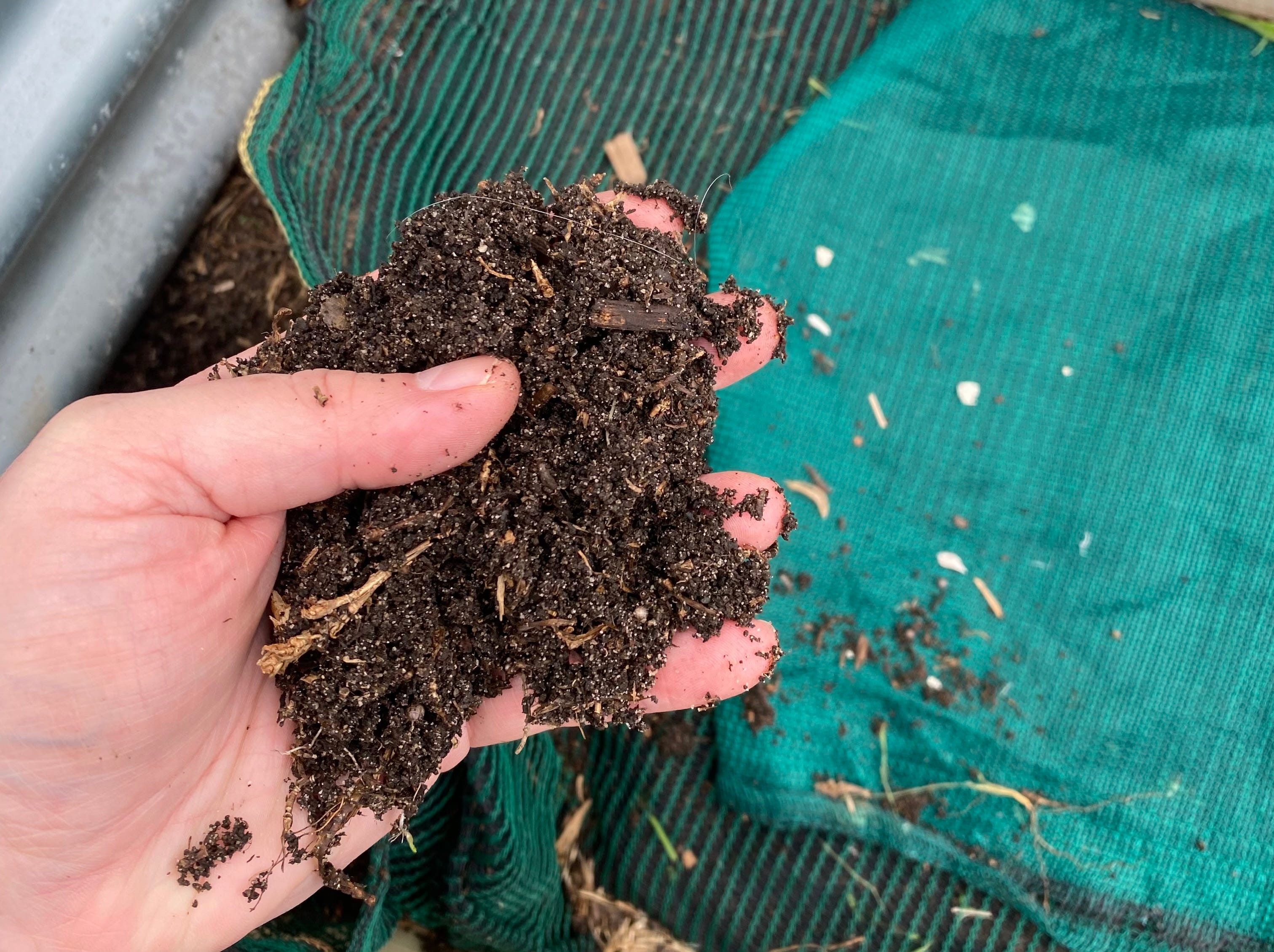 Entering my garden era - by Max Brearley - Between Meals