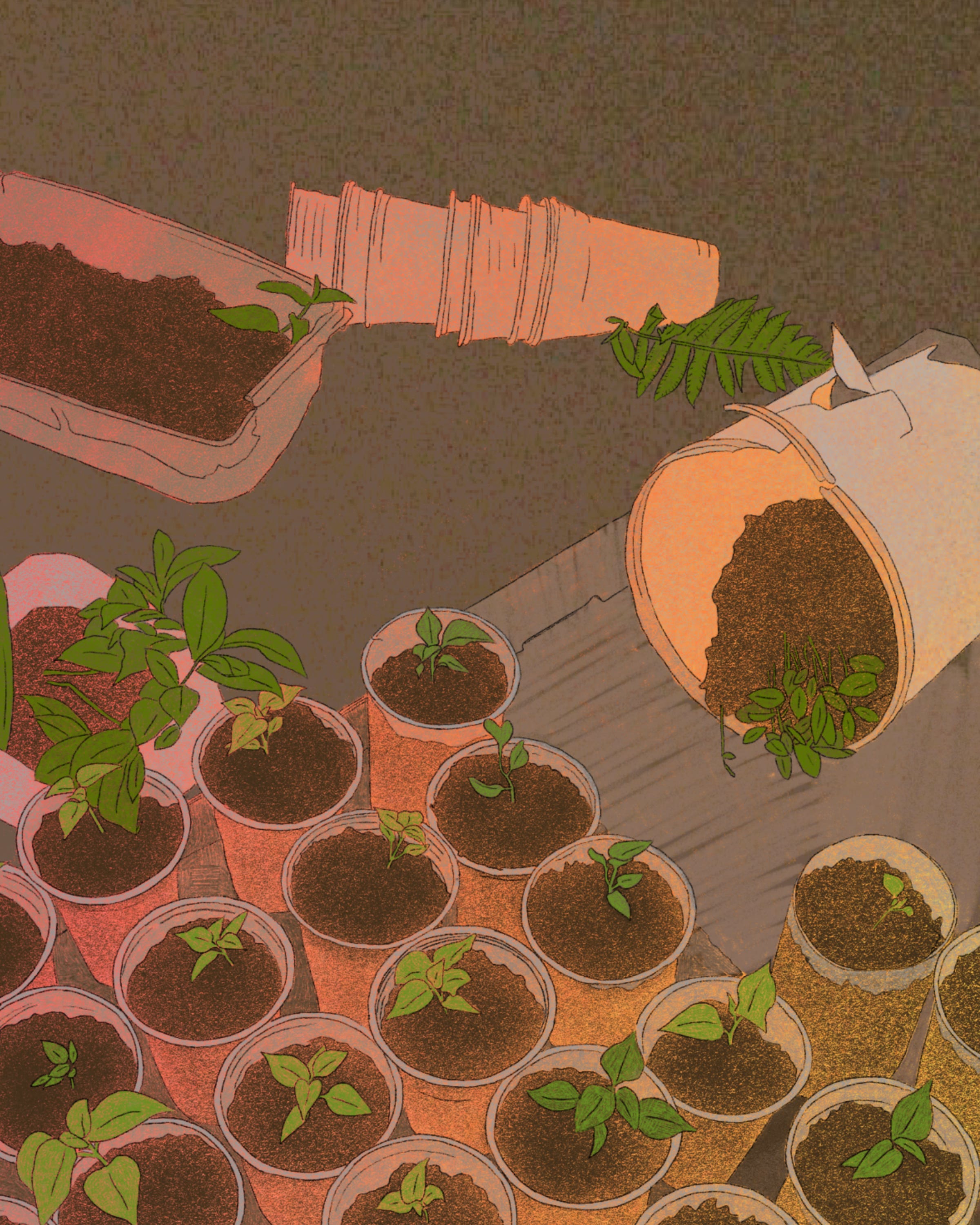 How to get started 🌱 - by Alex Matzke and Steven Casanova