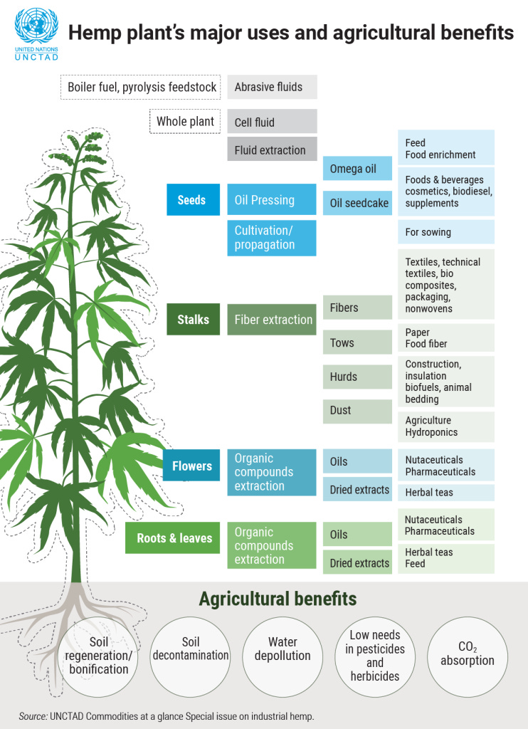 😯 Holi Hemp: $18.6Bn Opportunity? - ReadOn