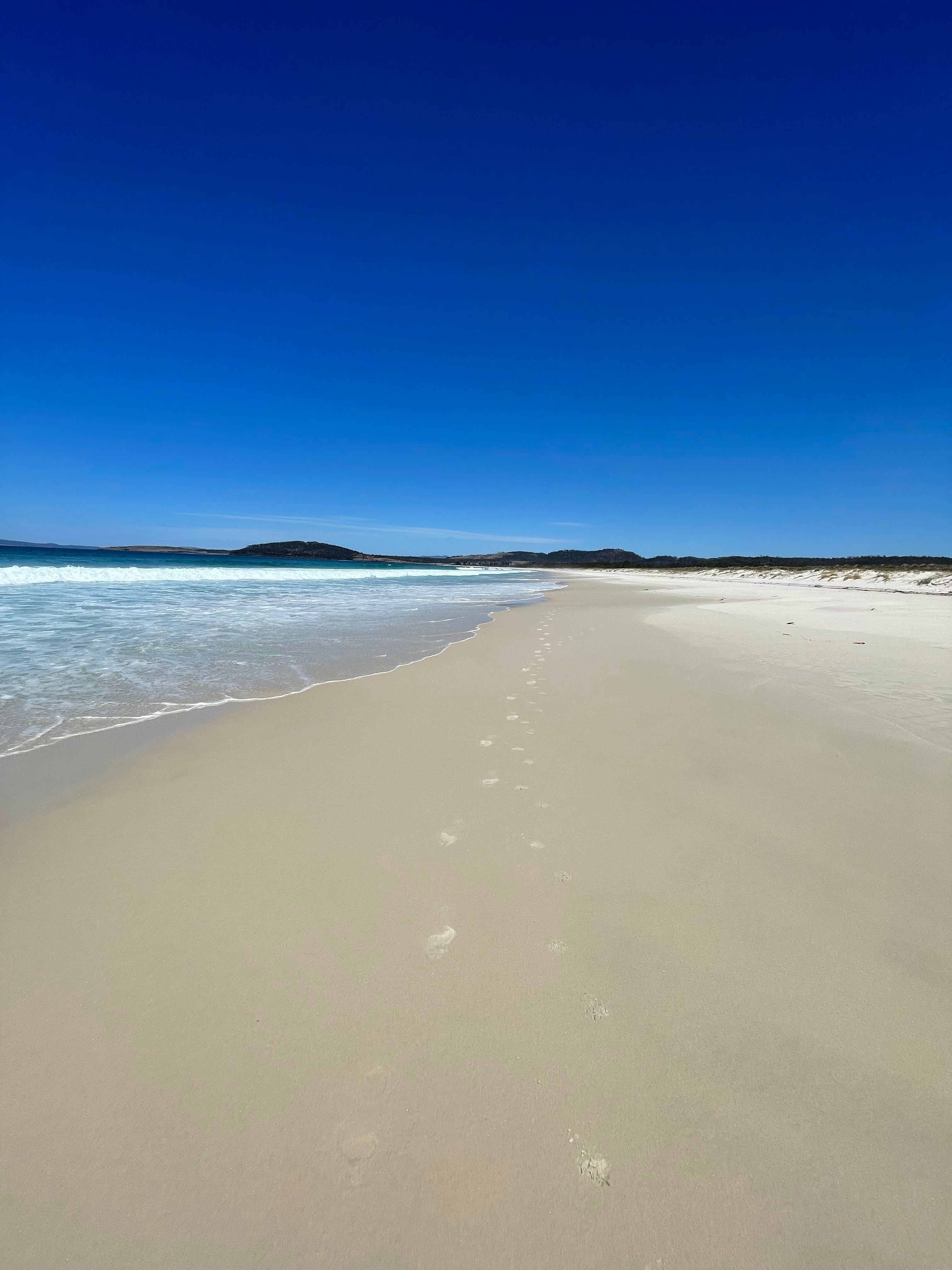 The Sit Spot | Maggie Mackellar | Substack