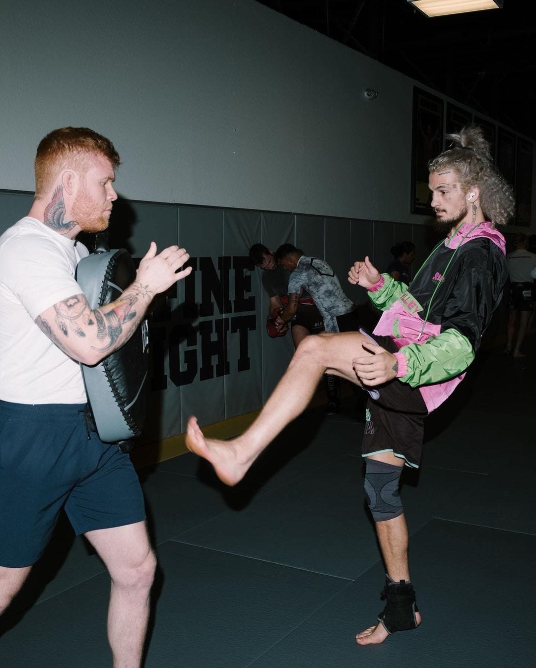 Red Hawk Essentials #20 - by Tim Welch