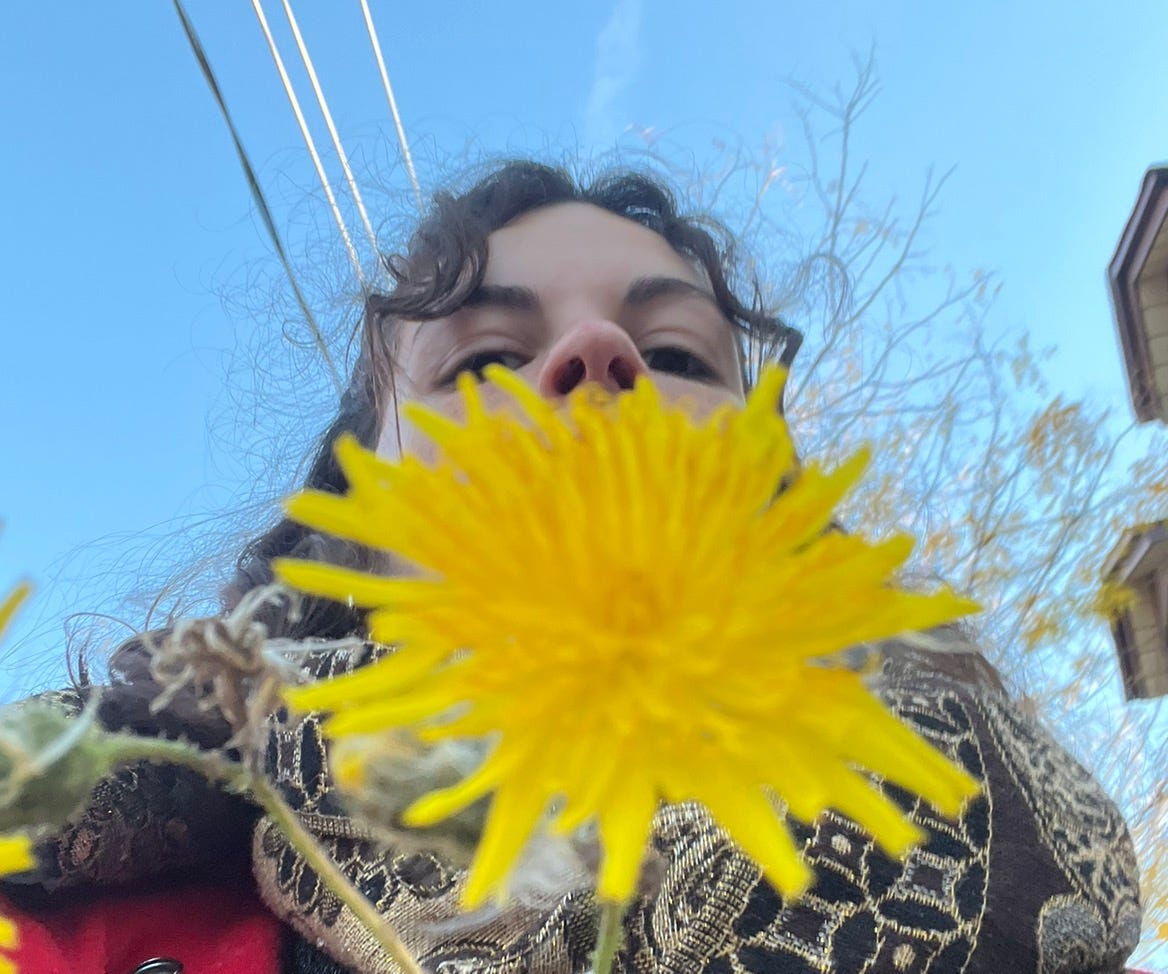 alexia ⍣ ꙳ | Substack