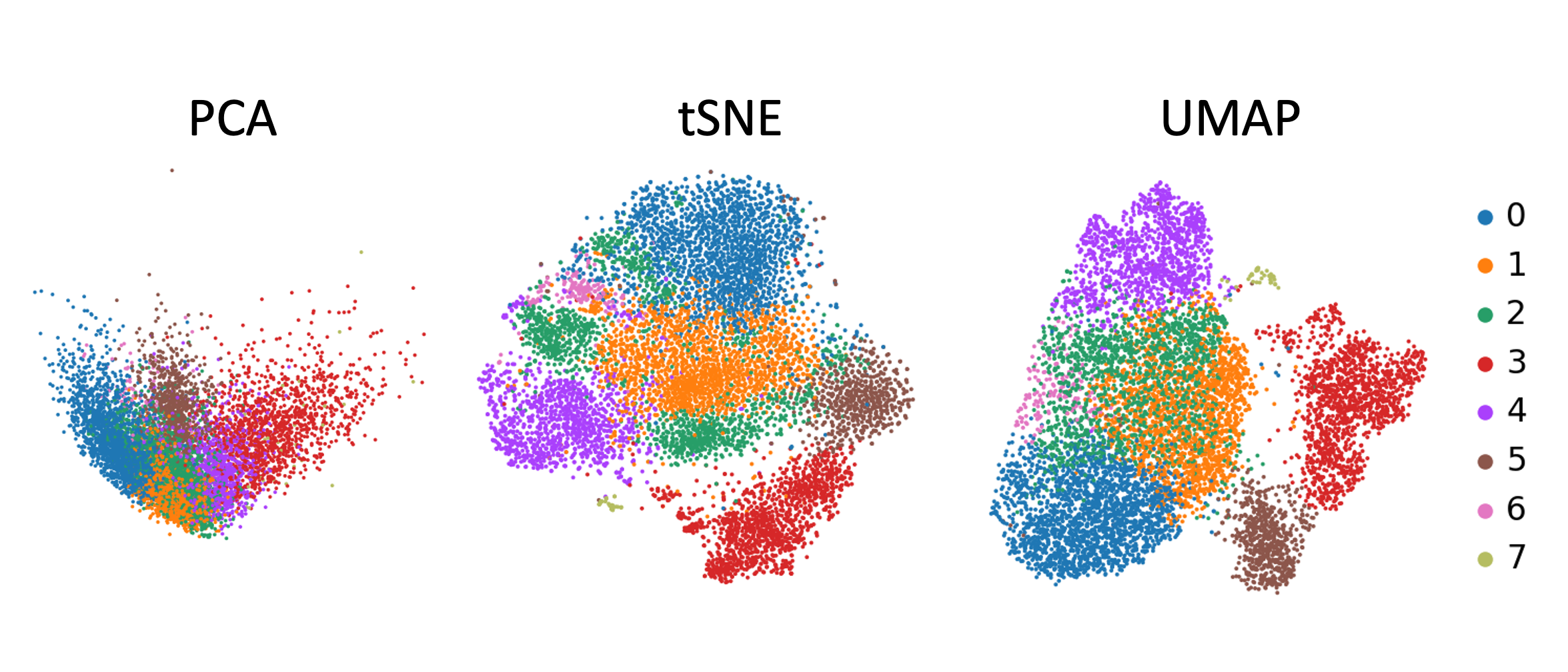 Primer: Non-Linear Dimensionality Reduction Techniques for Single-Cell Transcriptomics