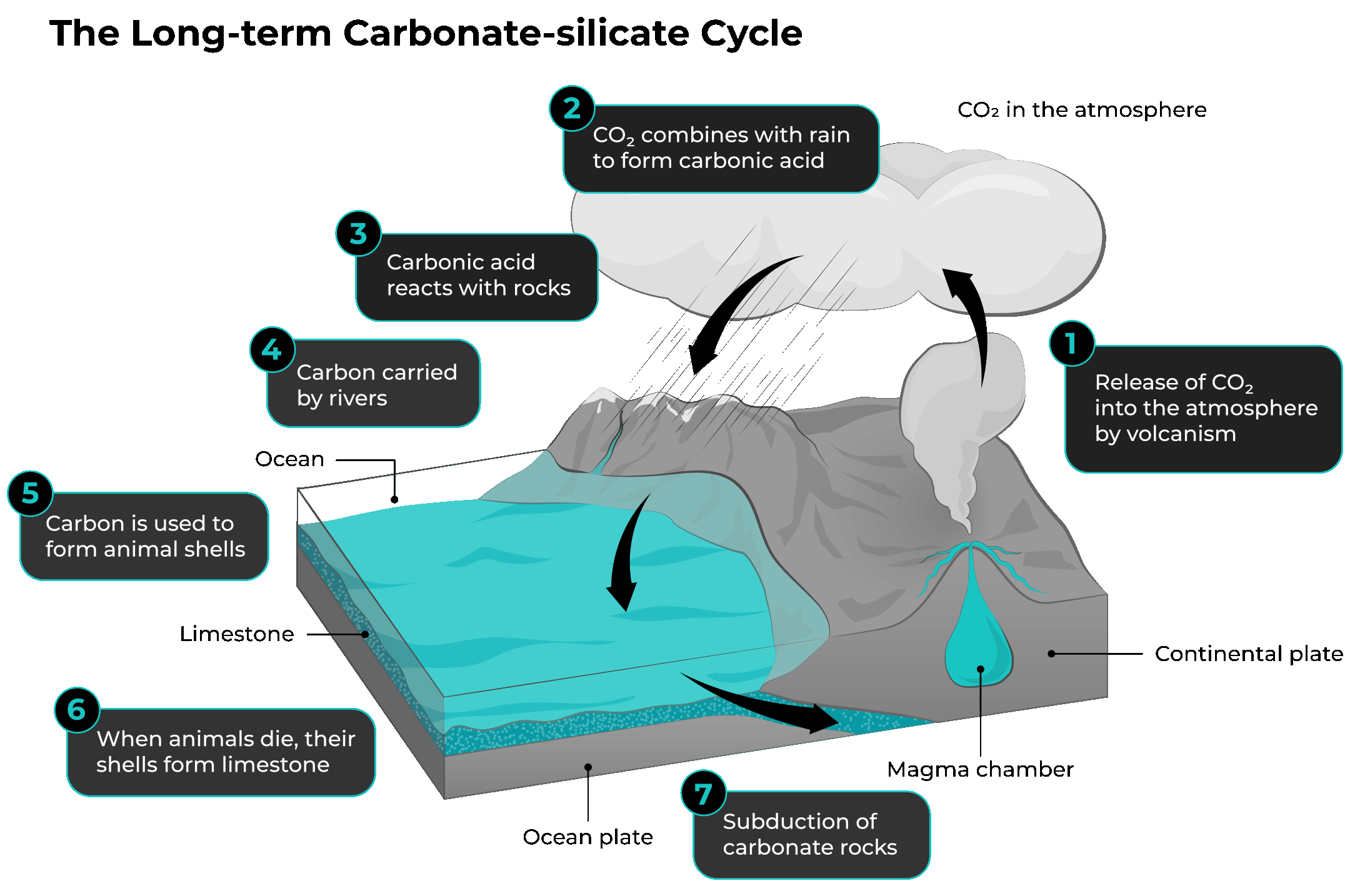 #12 Enhanced Weathering - by Javier Gascón