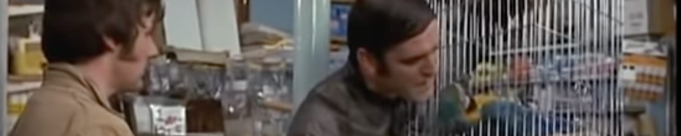 Are you a stochastic parrot? - by Quico Toro